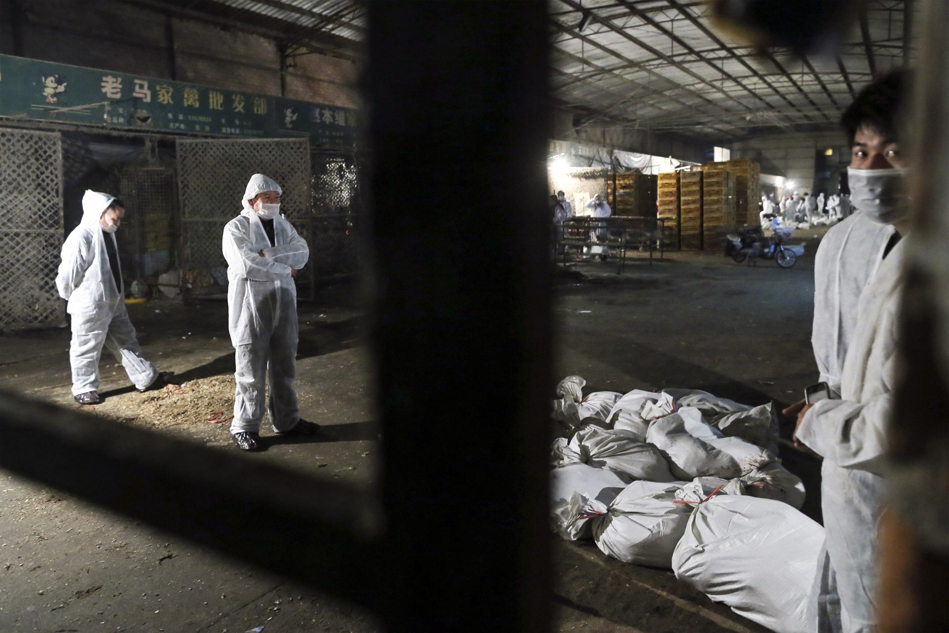 Pictures: New Bird Flu Hits China