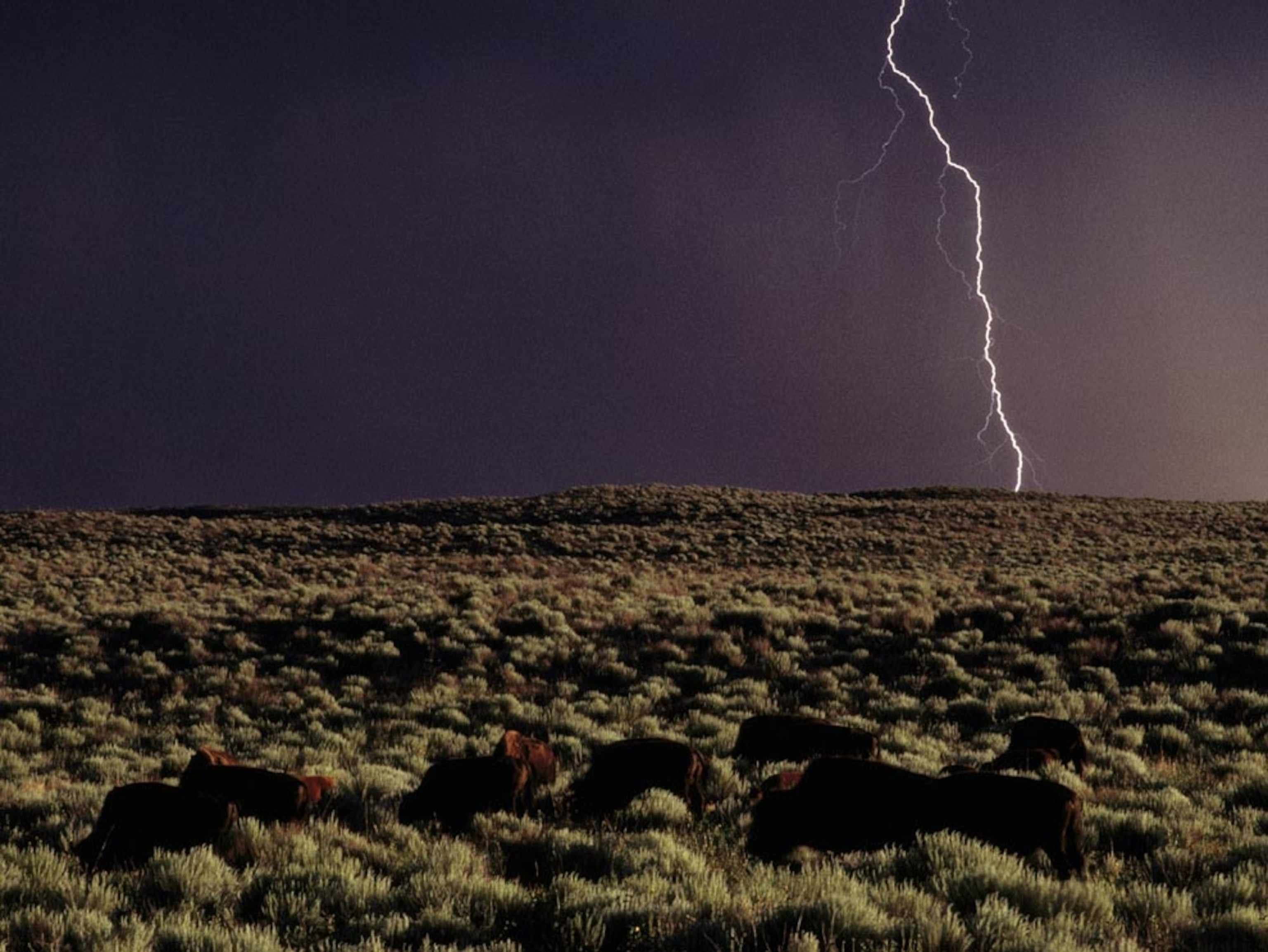 Plains Photos, Plains Photos -- National Geographic