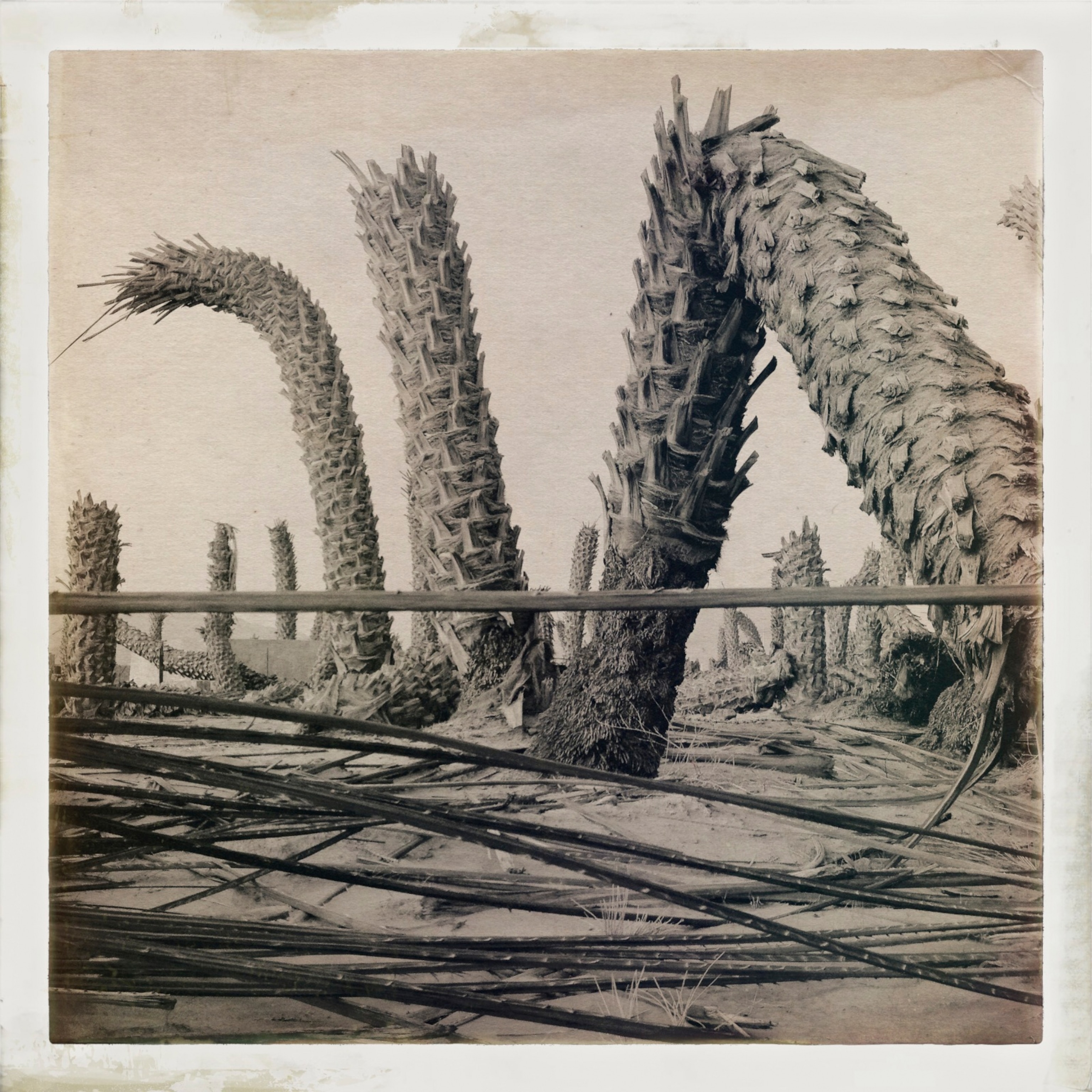 John Stanmeyer: The Timeless Sands of Saudi Arabia | National Geographic