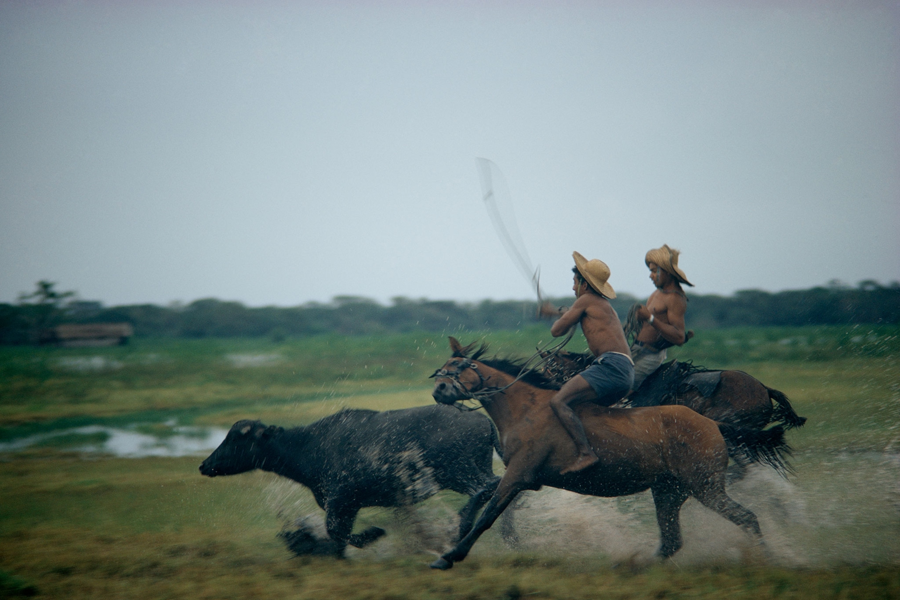 A Forgotten Adventure With a Telepathic Tribe