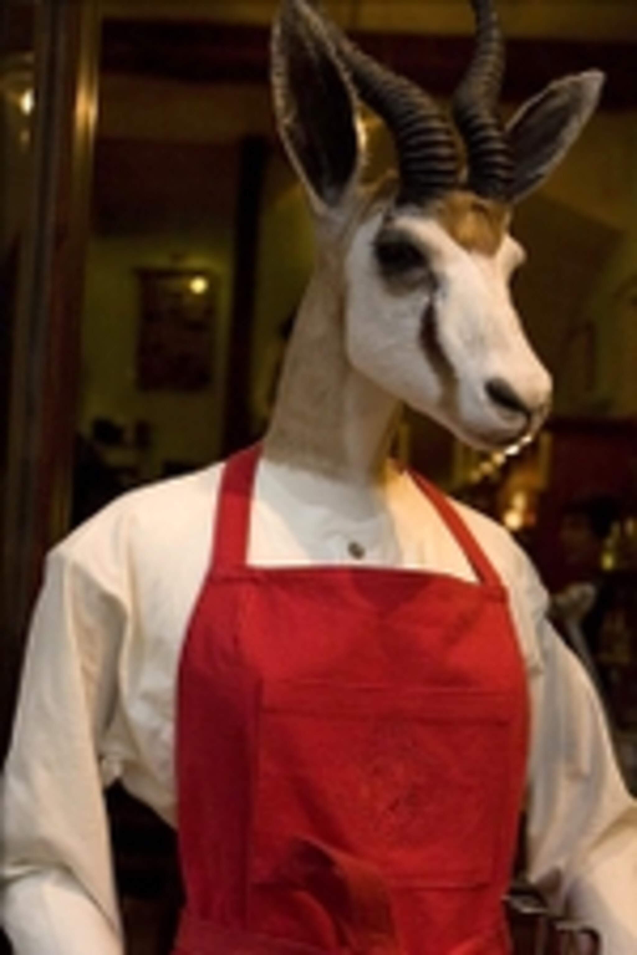 Behind the Lens: Paris’ Deyrolle Taxidermy Shop