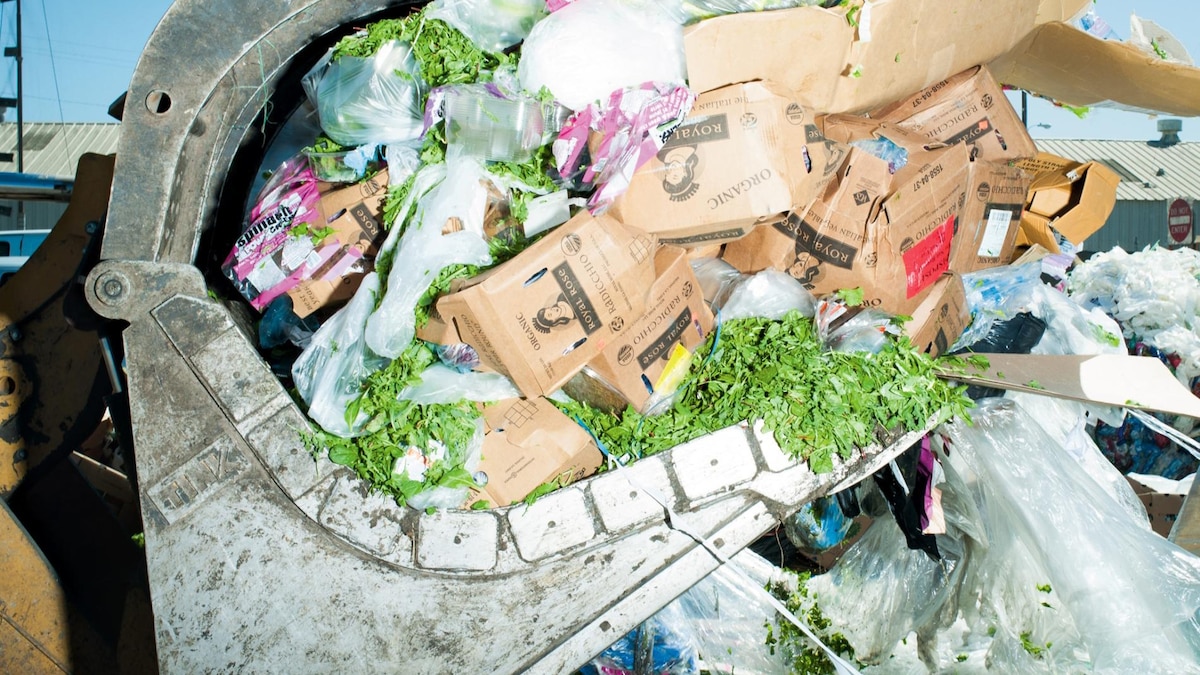 5 Things You Can Do About Food Waste | National Geographic