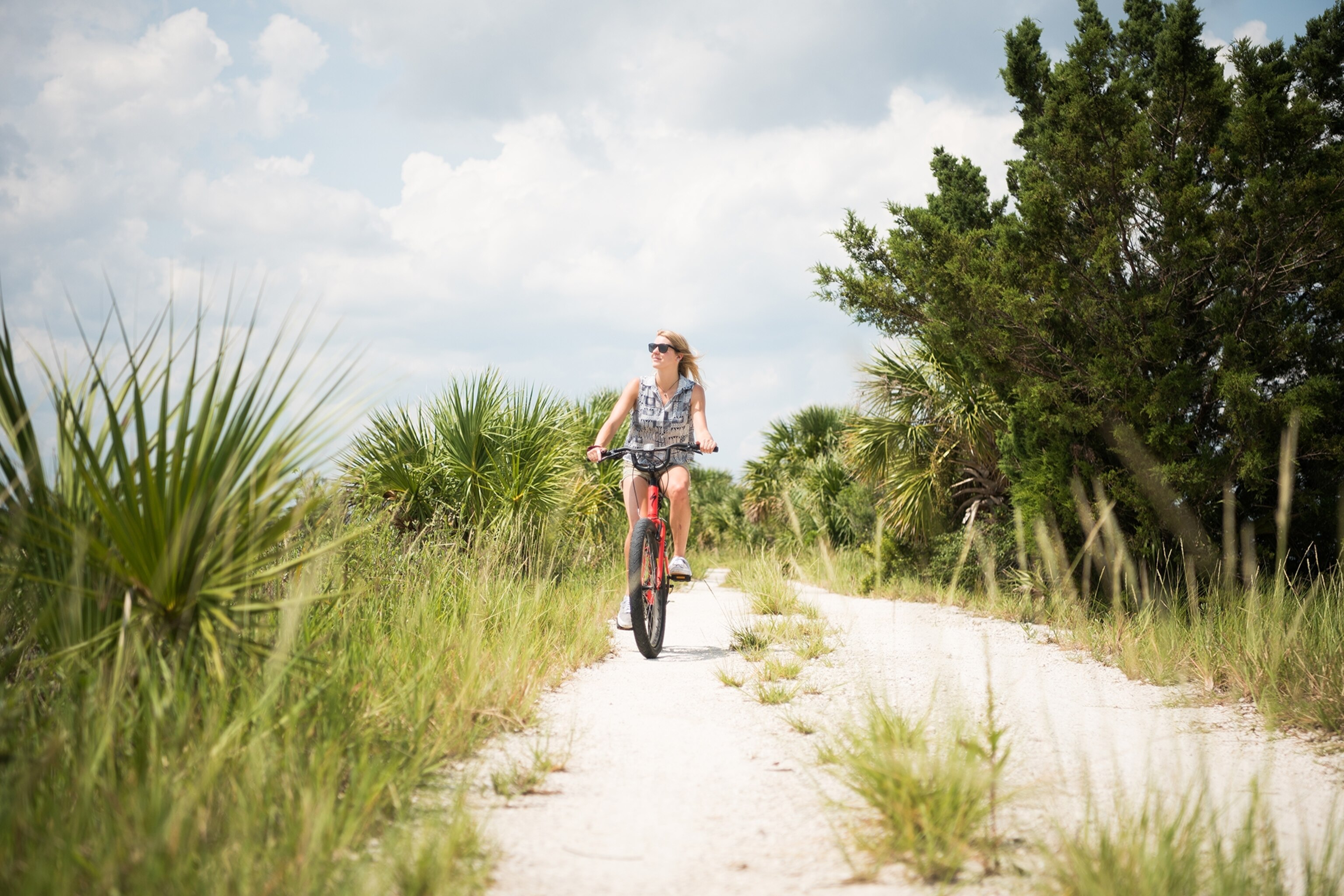 8 Reasons Why You Must Visit Savannah