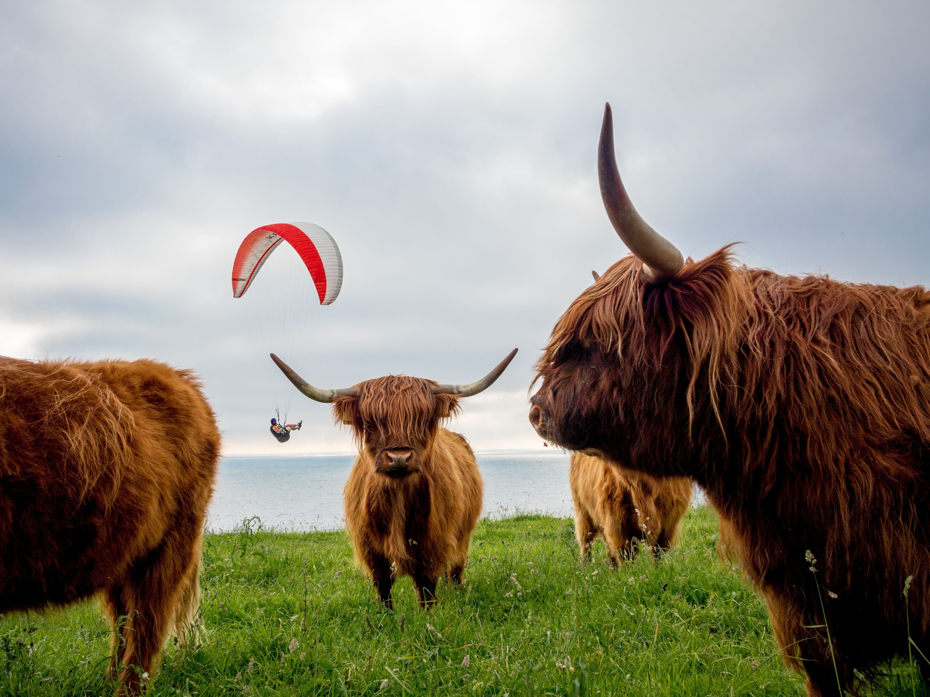 Your Scandinavia Photos -- National Geographic Travel