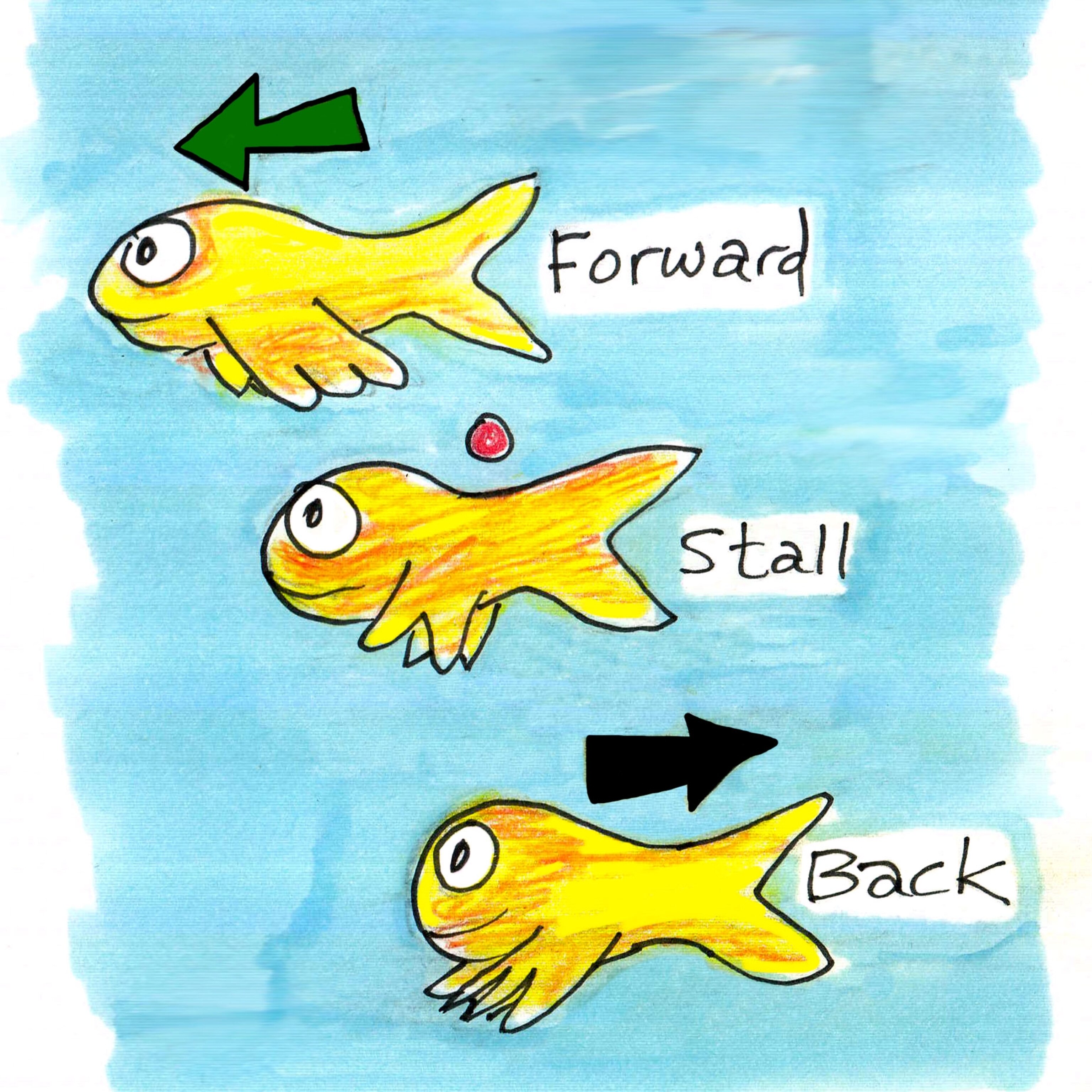 Help! I’m Trapped in a Drop of Water