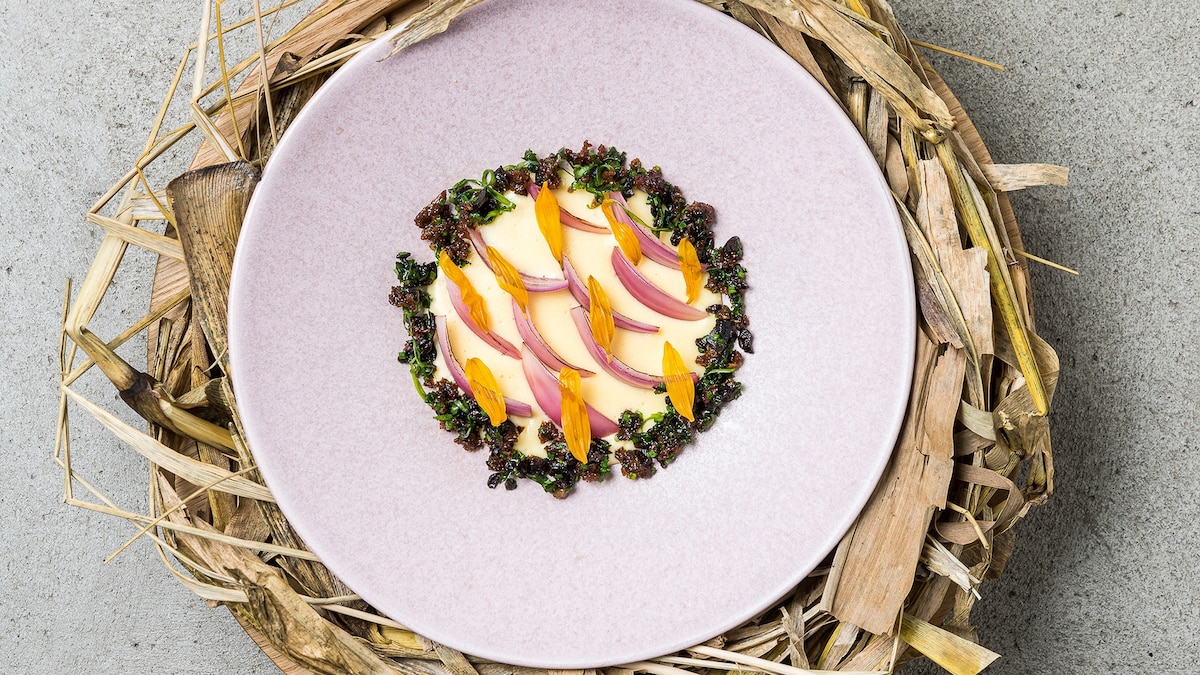 6 dishes to eat in Tallinn, from compost-baked onions to kurze ...