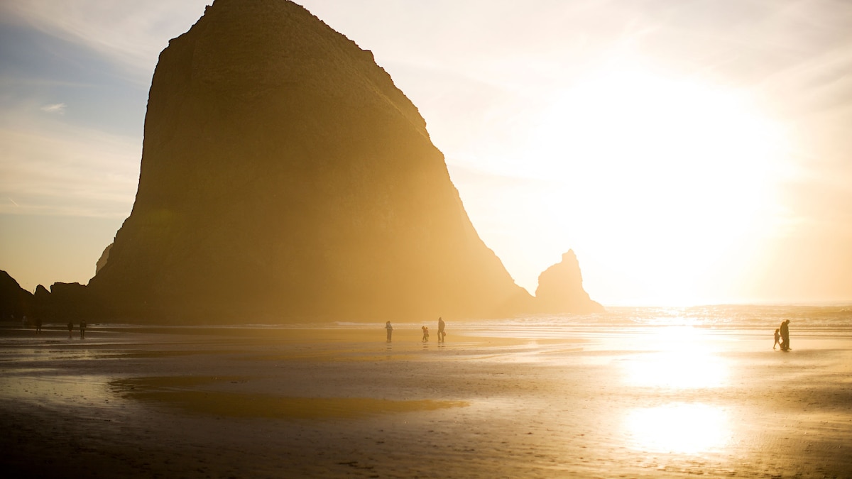 Tracking a Mystery: When and How the First Americans Arrived | National ...