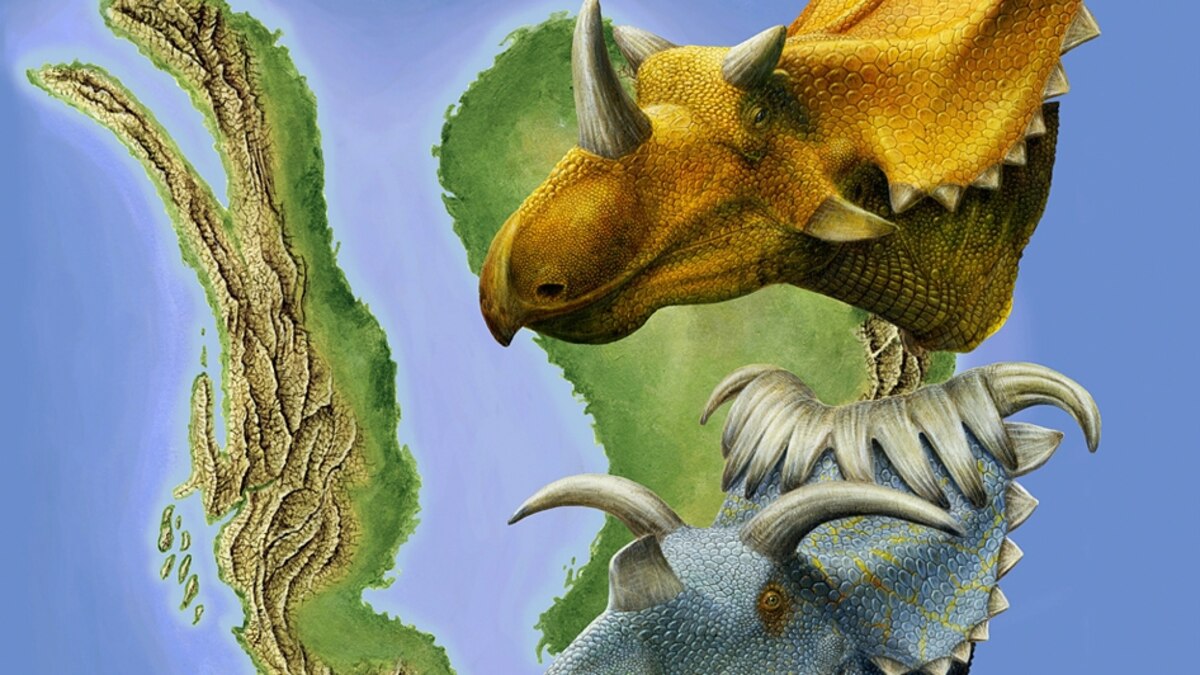 Two New Horned Dinosaurs Found in Utah | National Geographic