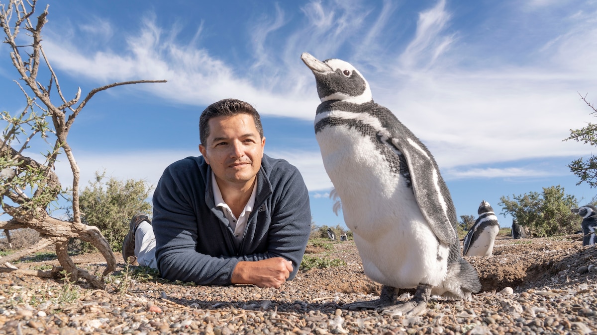 Pablo “Popi” Garcia Borboroglu has dedicated his life to protecting ...