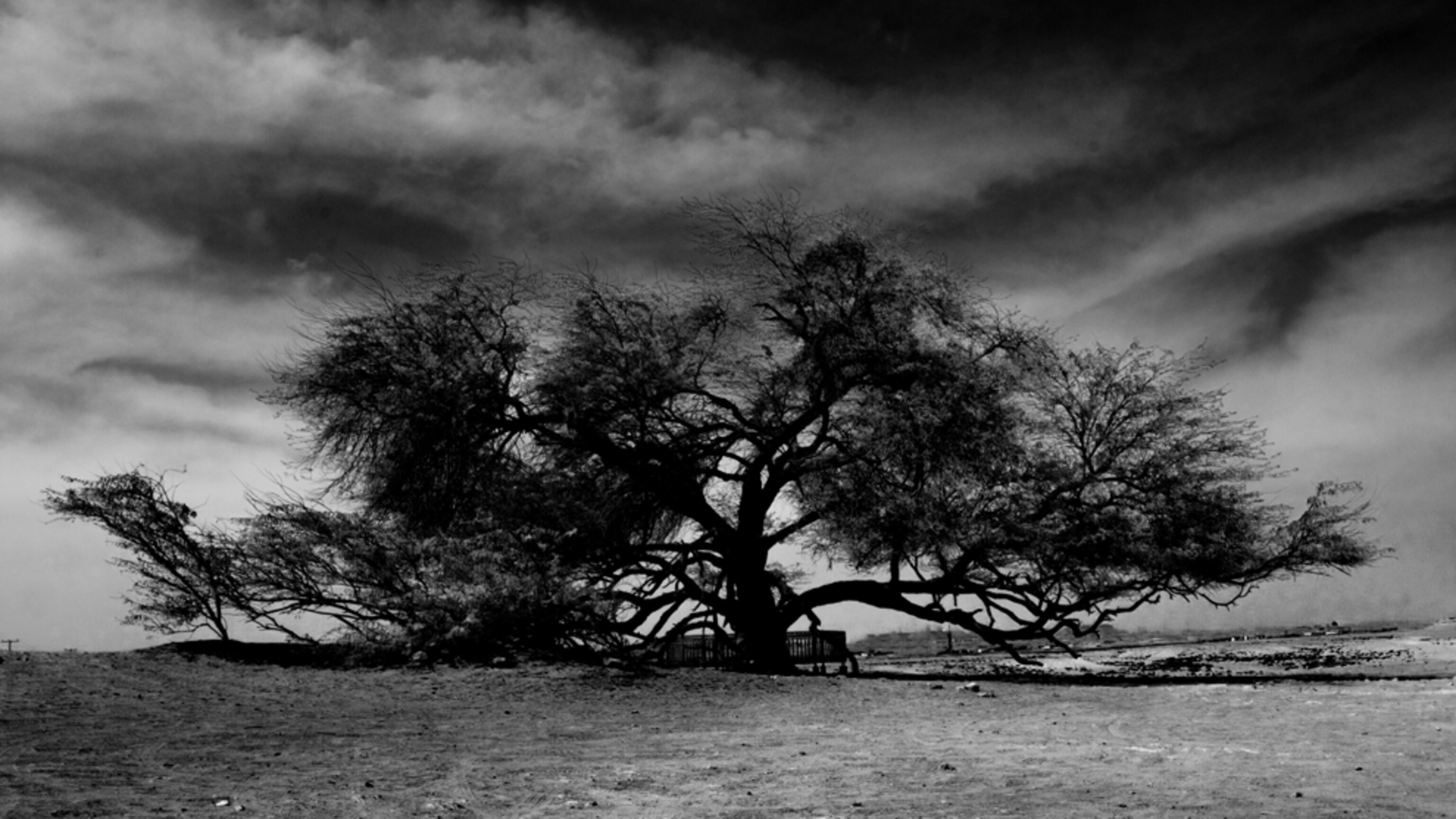 7 stunning natural wonders in the Middle East