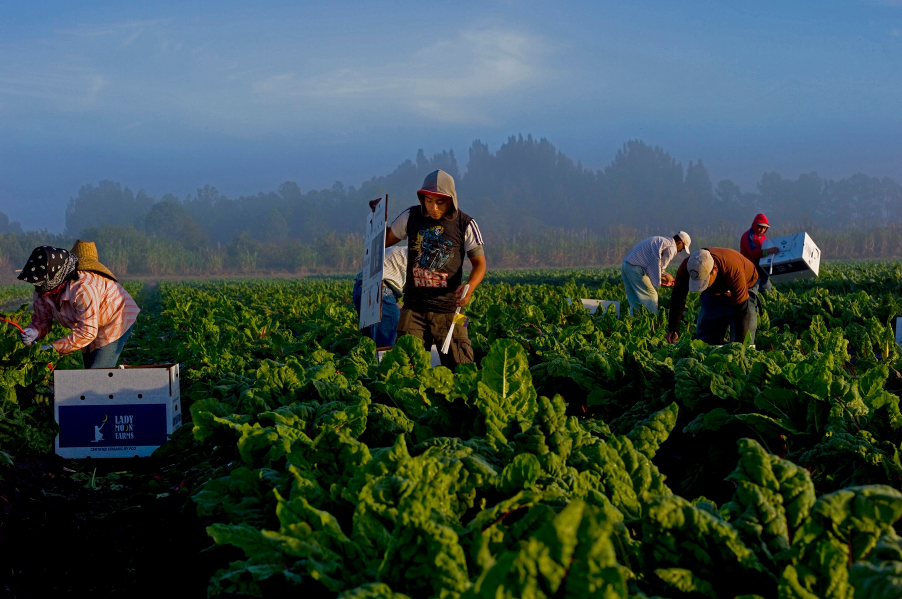 Anthony Suau’s Organic Rising | National Geographic