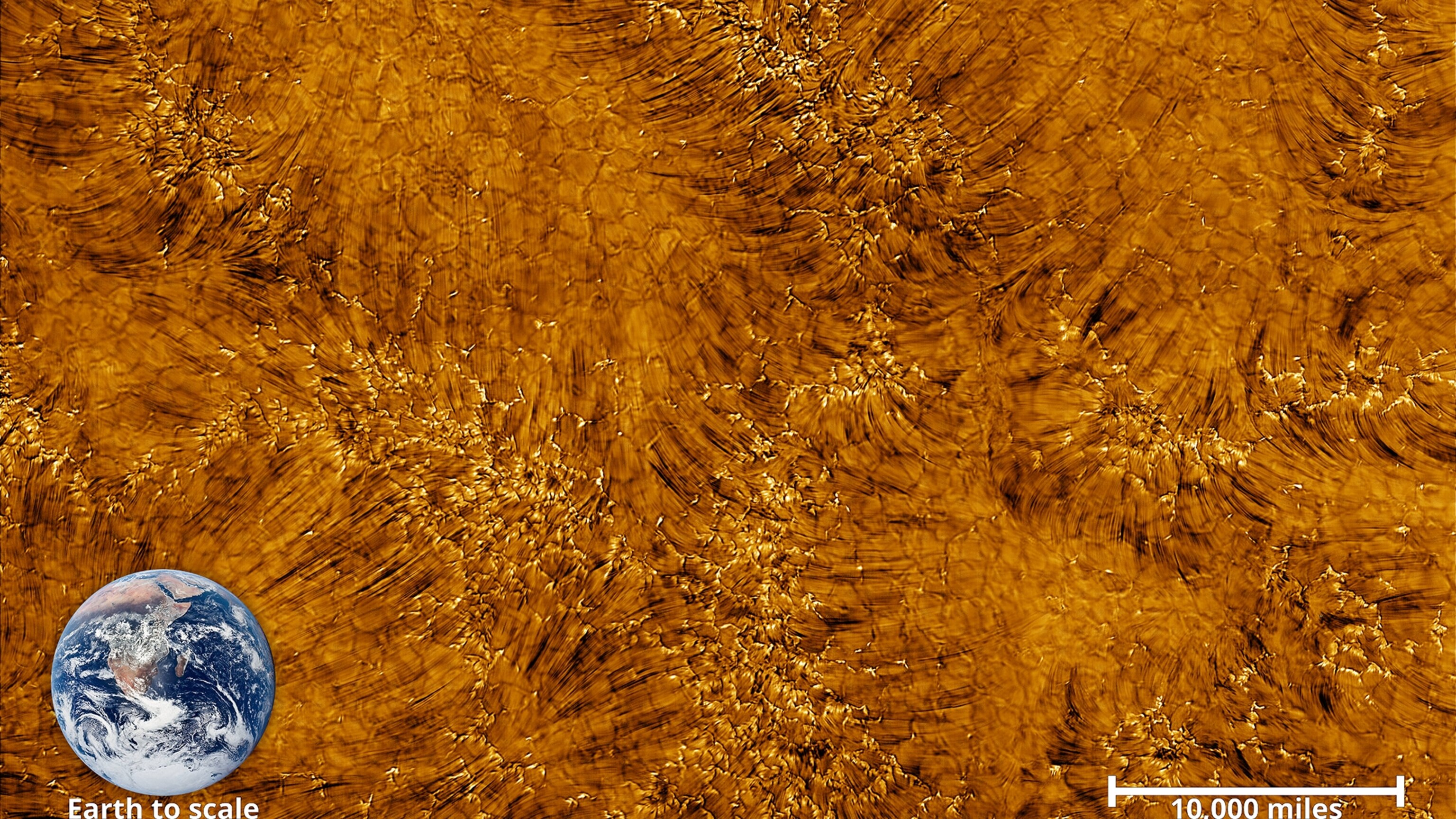 Sun Surface High Resolution