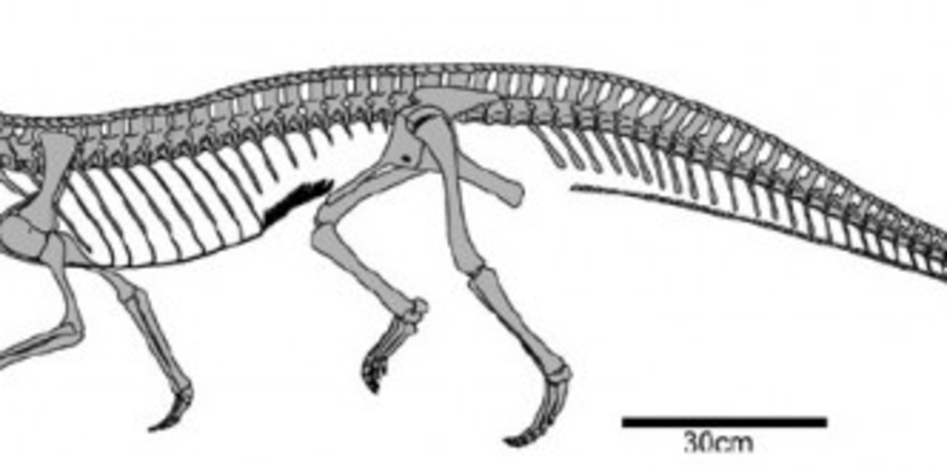 The Last Resting Place of Decuriasuchus