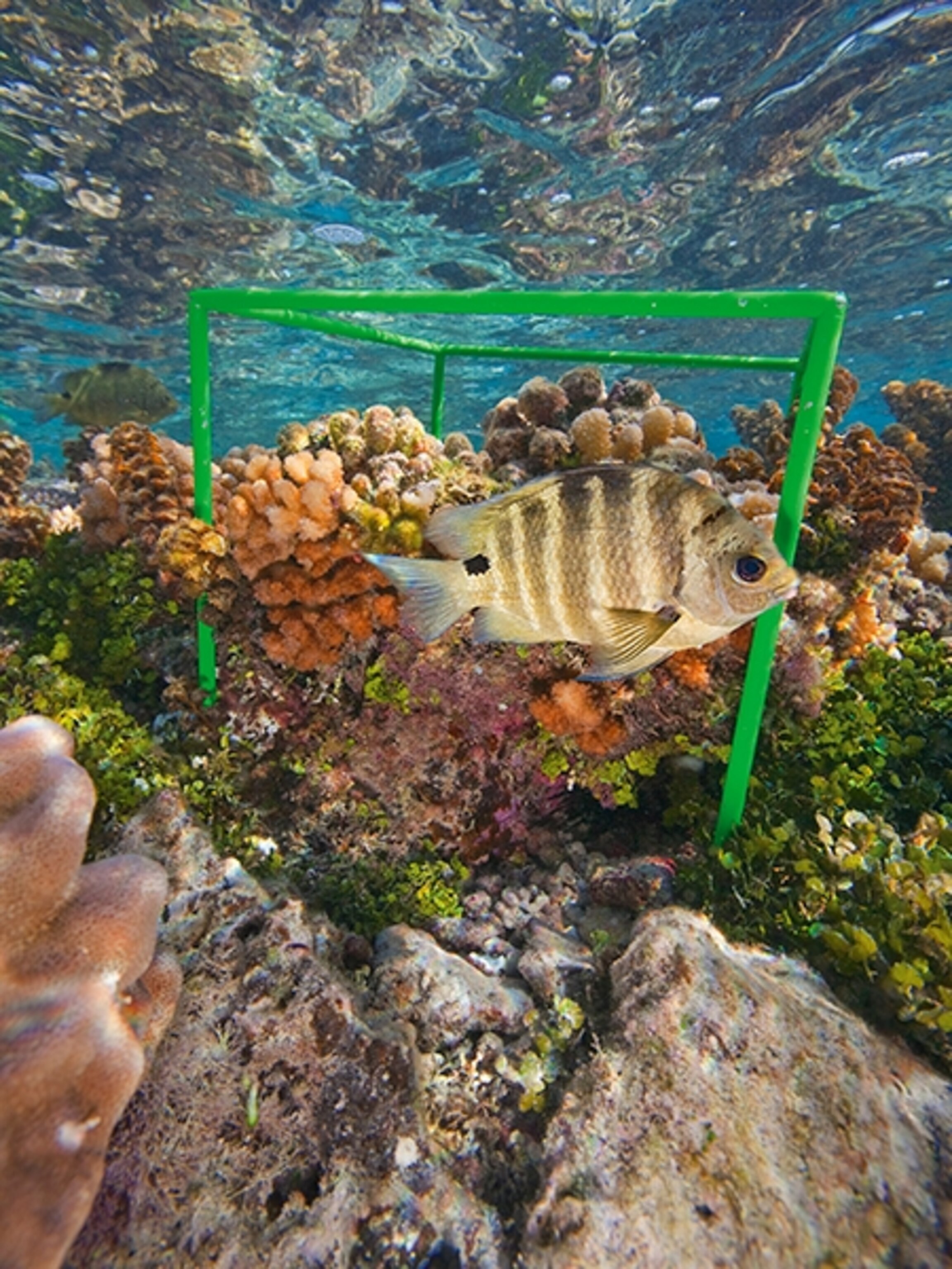 Cutting-Edge Science Meets Centuries-Old Tradition