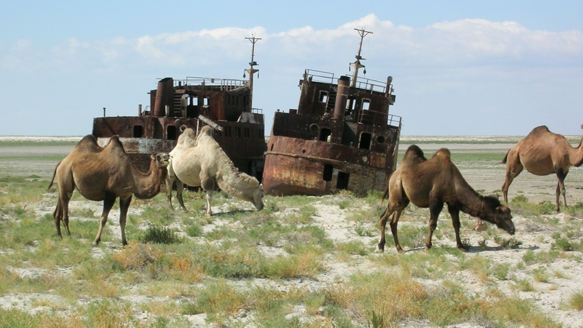 Aral Sea Recovery? | National Geographic