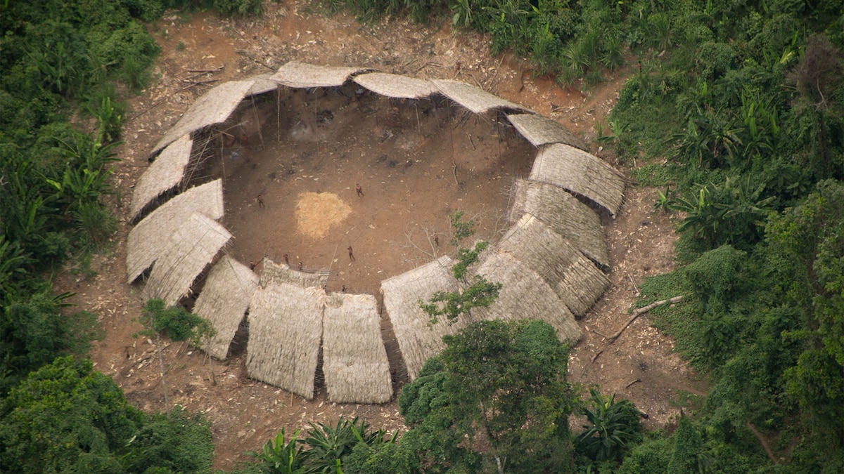 Rare Photos of Brazilian Tribe Spur Pleas to Protect It | National ...