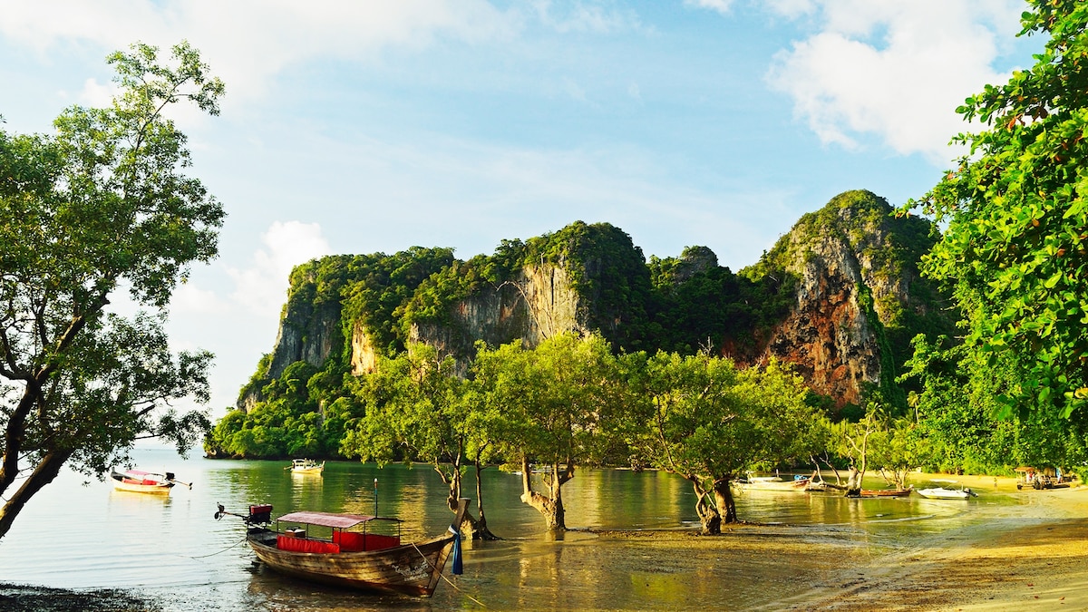 Clam Digging in Koh Klang | National Geographic