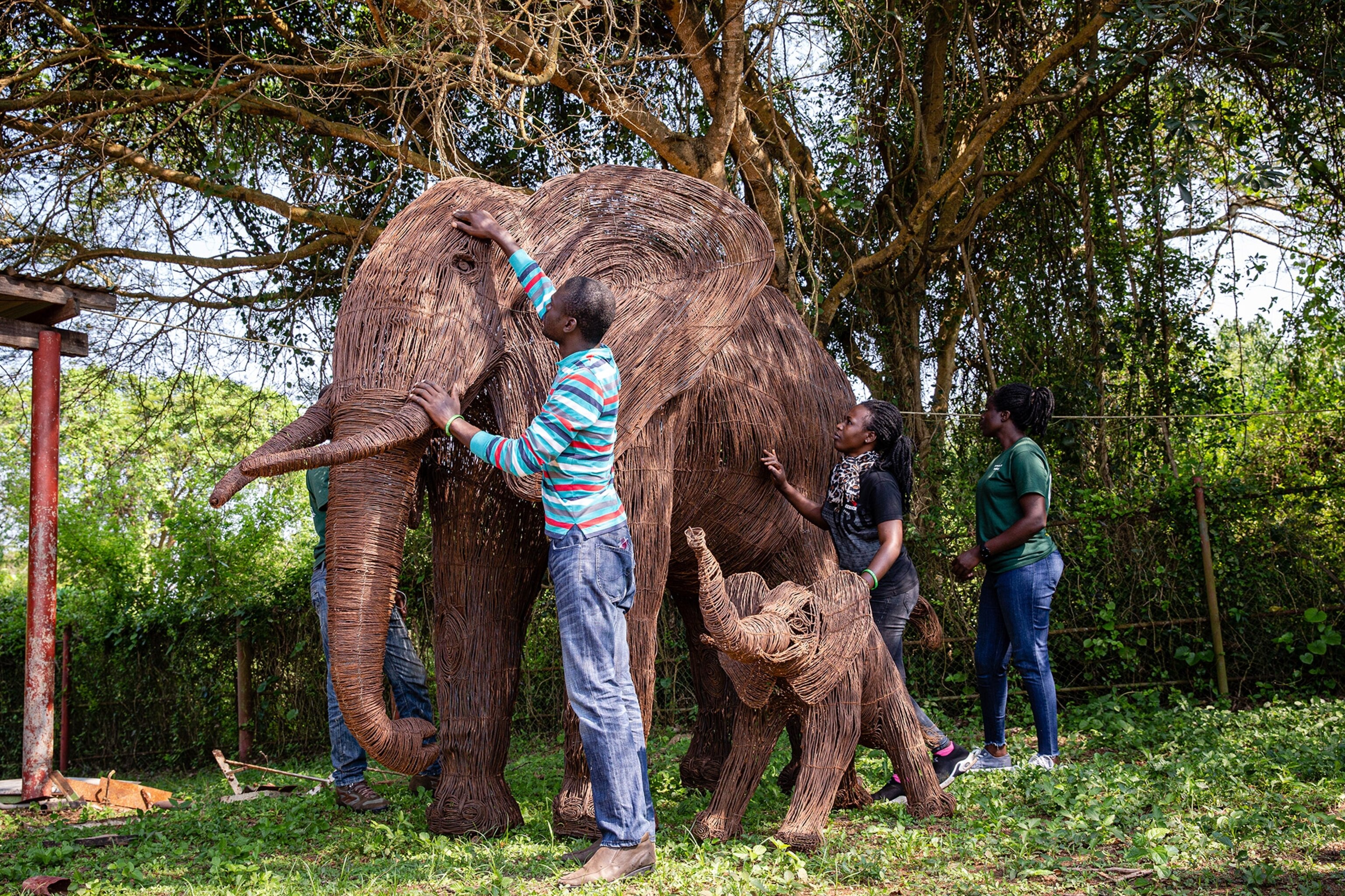 These traps once snared Uganda's wildlife. Now they're art