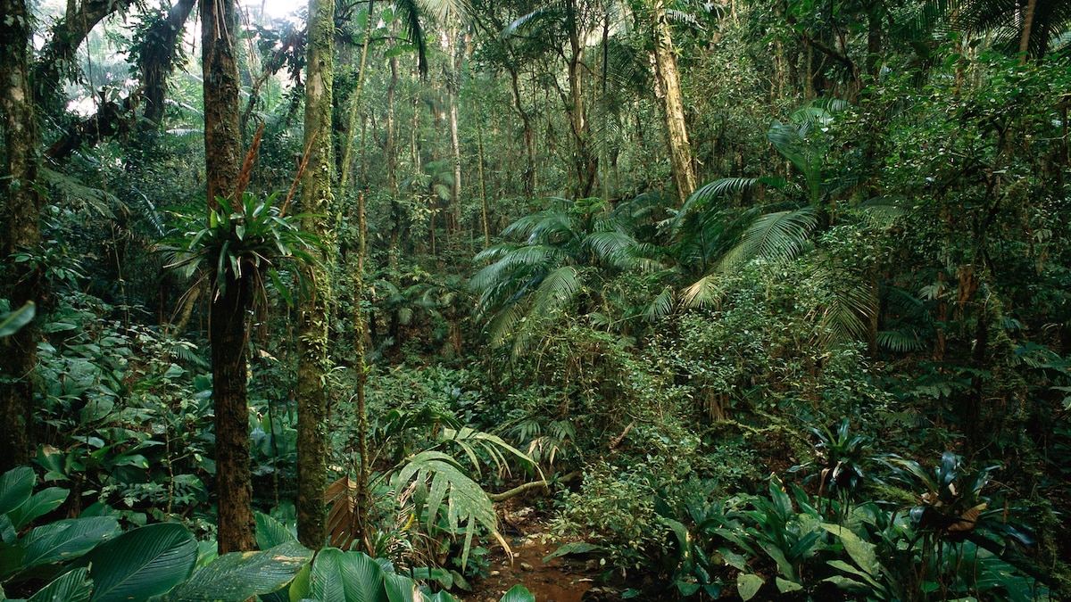 Darwin's First Clues | National Geographic