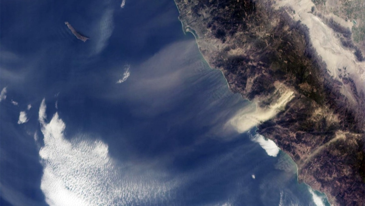 The Disease, My Friend, Is Blowing In the Wind | National Geographic