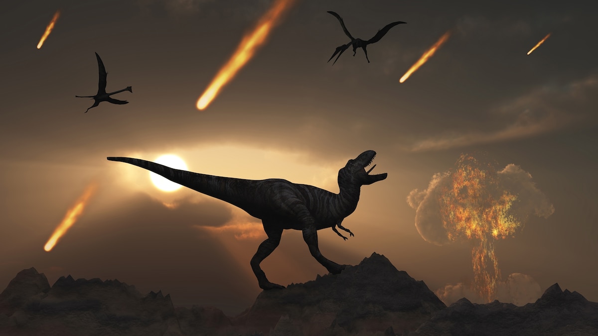 Volcanoes may have helped life bounce back after dinosaur-killing asteroid strike | National ...