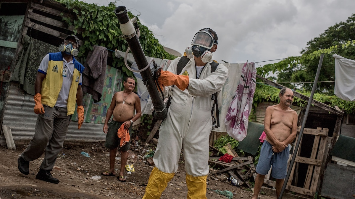 Pictures Capture Daily Battle Against Zika Mosquitoes | National Geographic