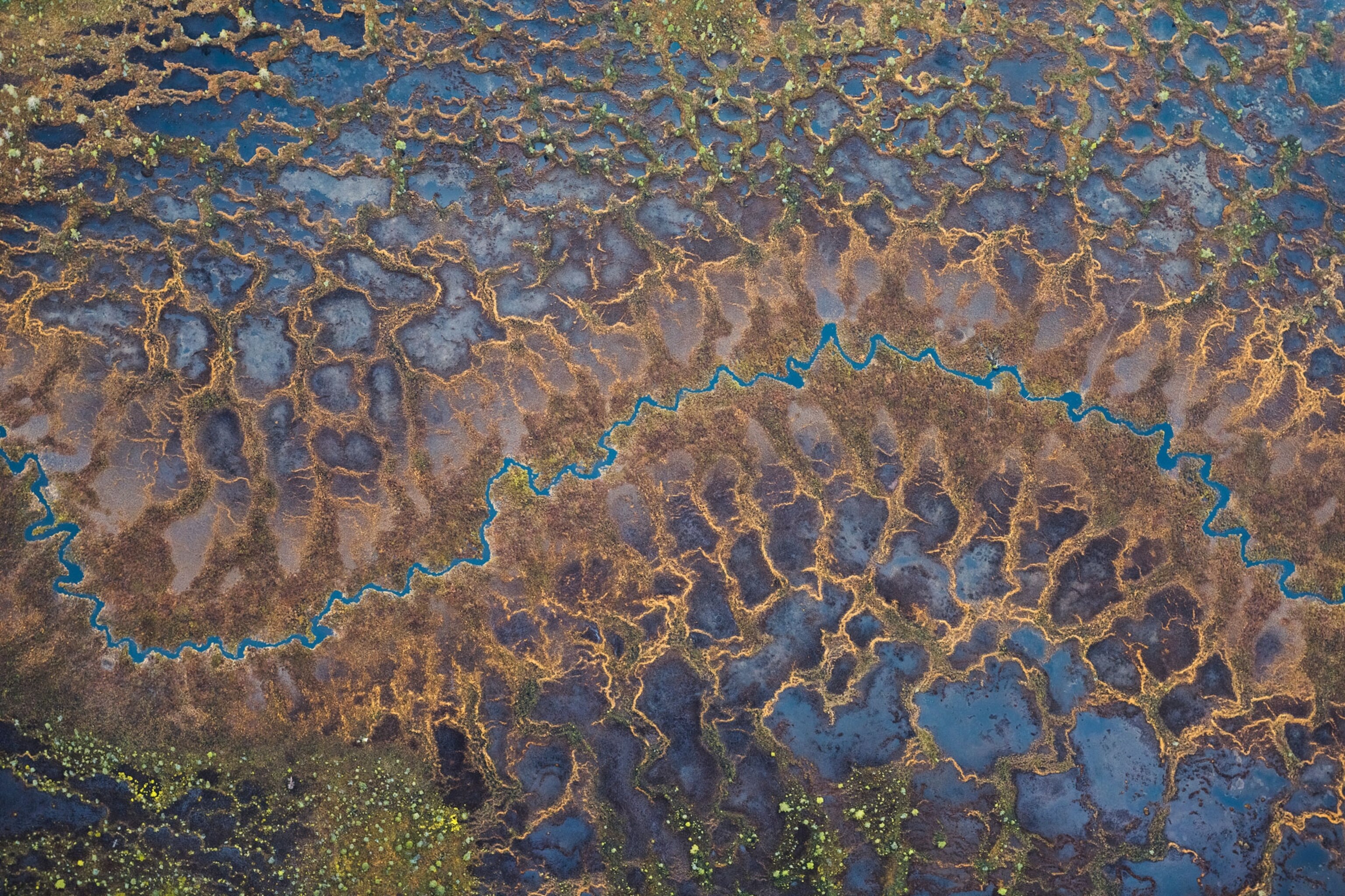 Husband and Wife Team Photograph the Solitude of Sweden’s Wild Landscapes