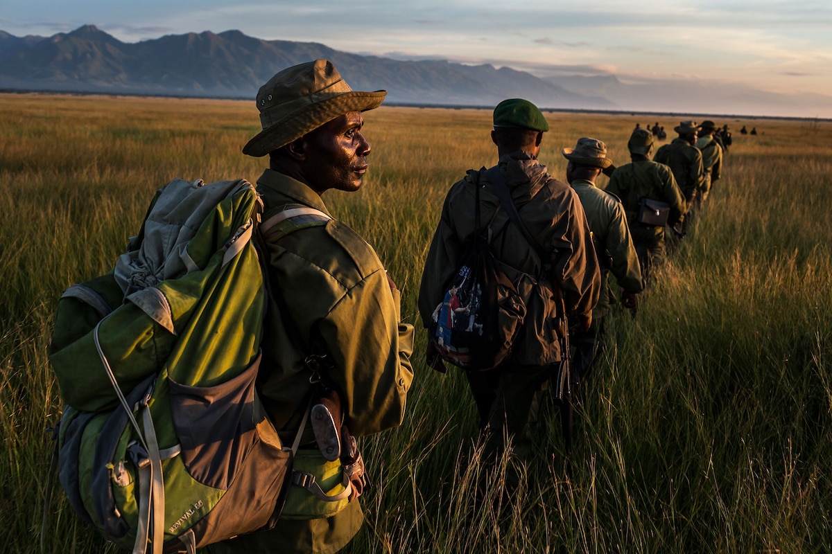 Another Ranger Killed Protecting Virunga National Park, the World's ...