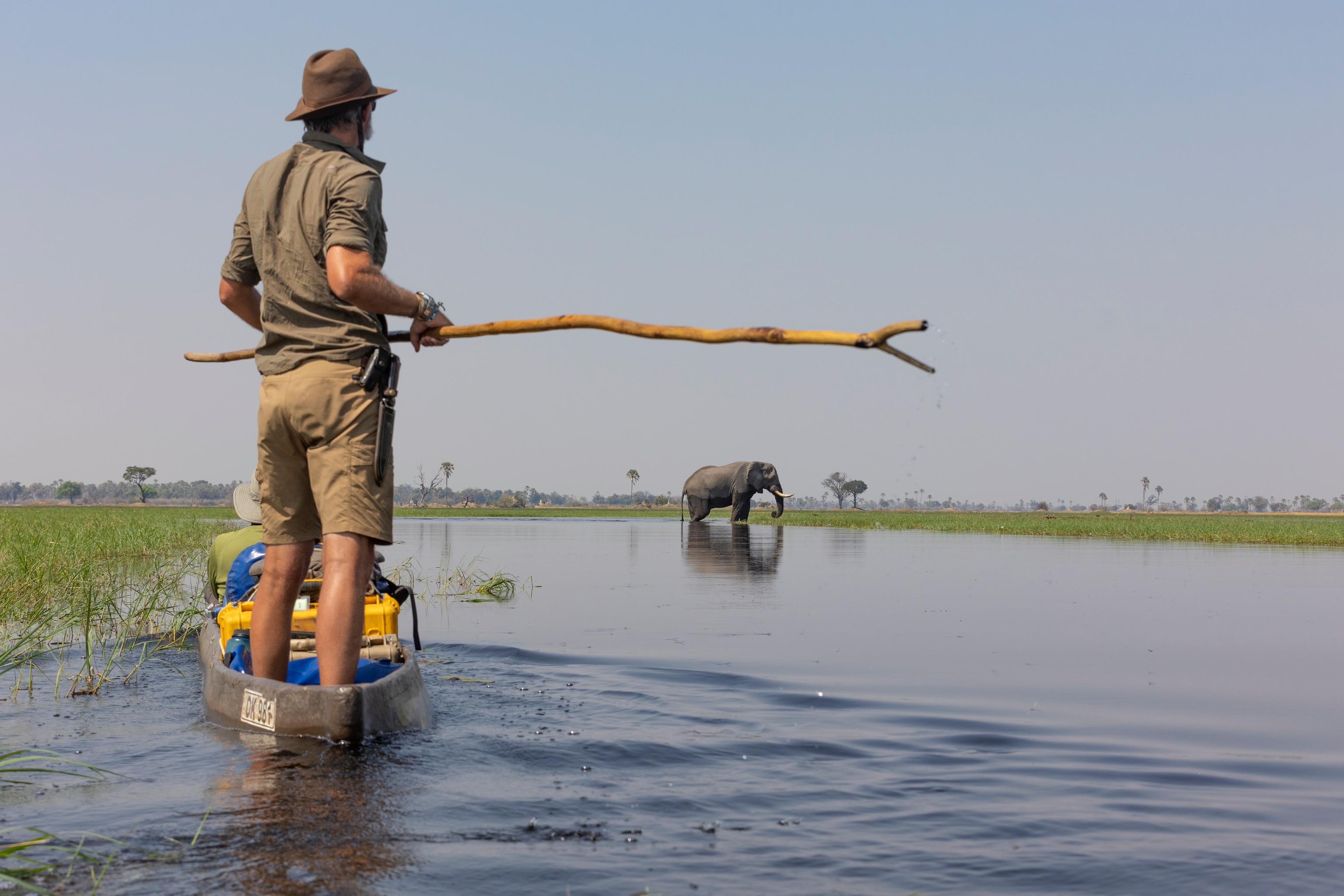 Steve Boyes traces life to its source in the Angolan Highlands