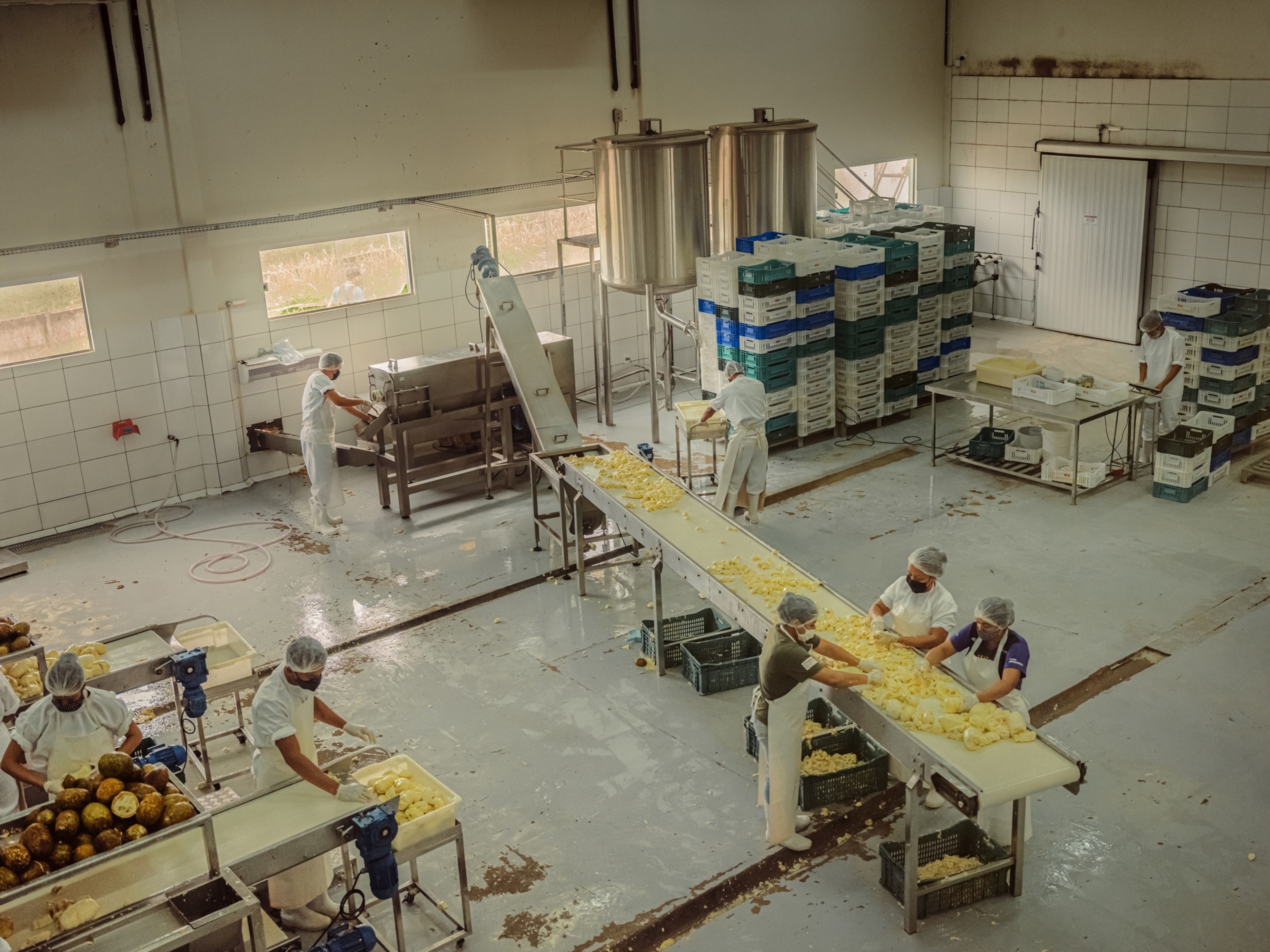 These farmers show that agriculture in the Amazon doesn’t have to be ...