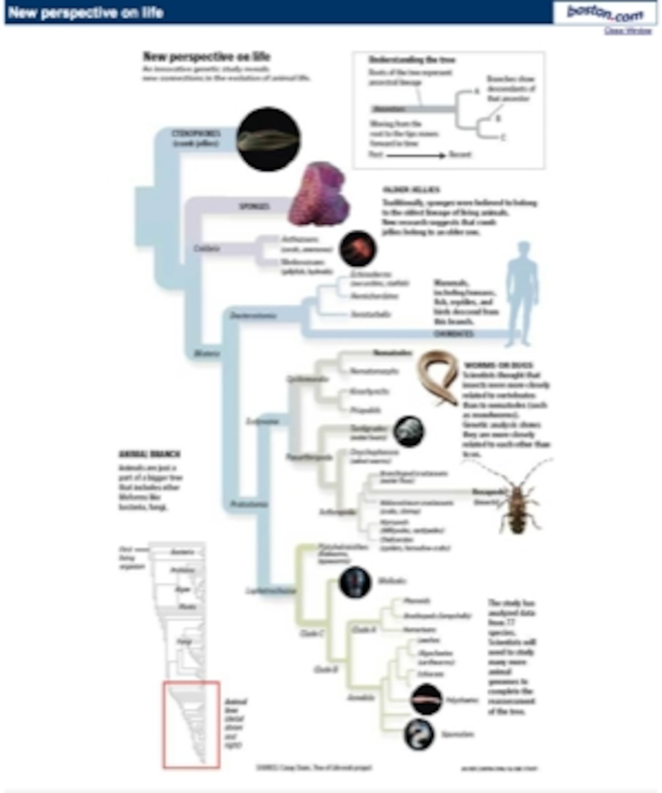 Weird Animals, And Why They Matter | National Geographic