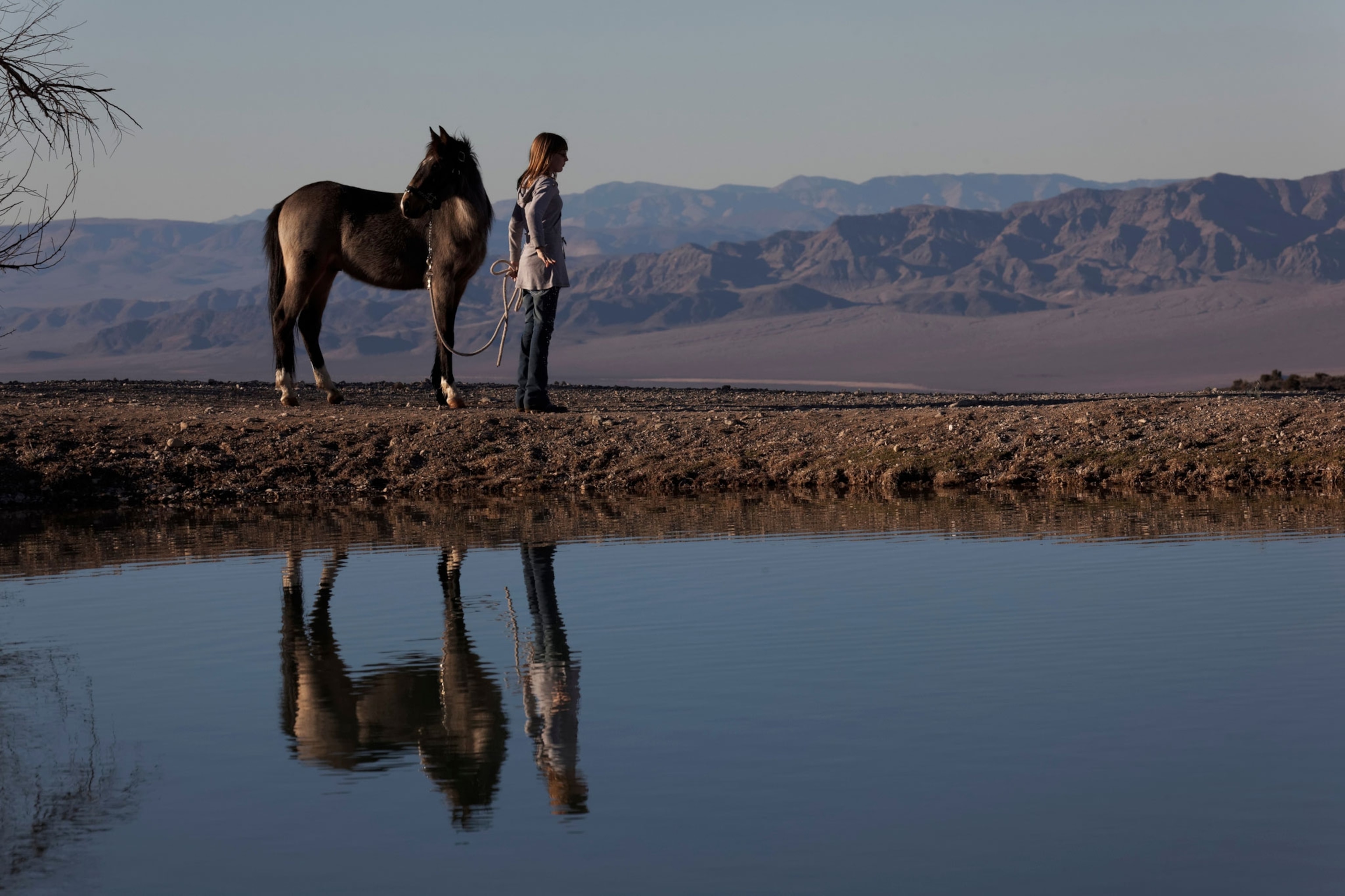 Pictures of Wild Horses in the American West | National Geographic