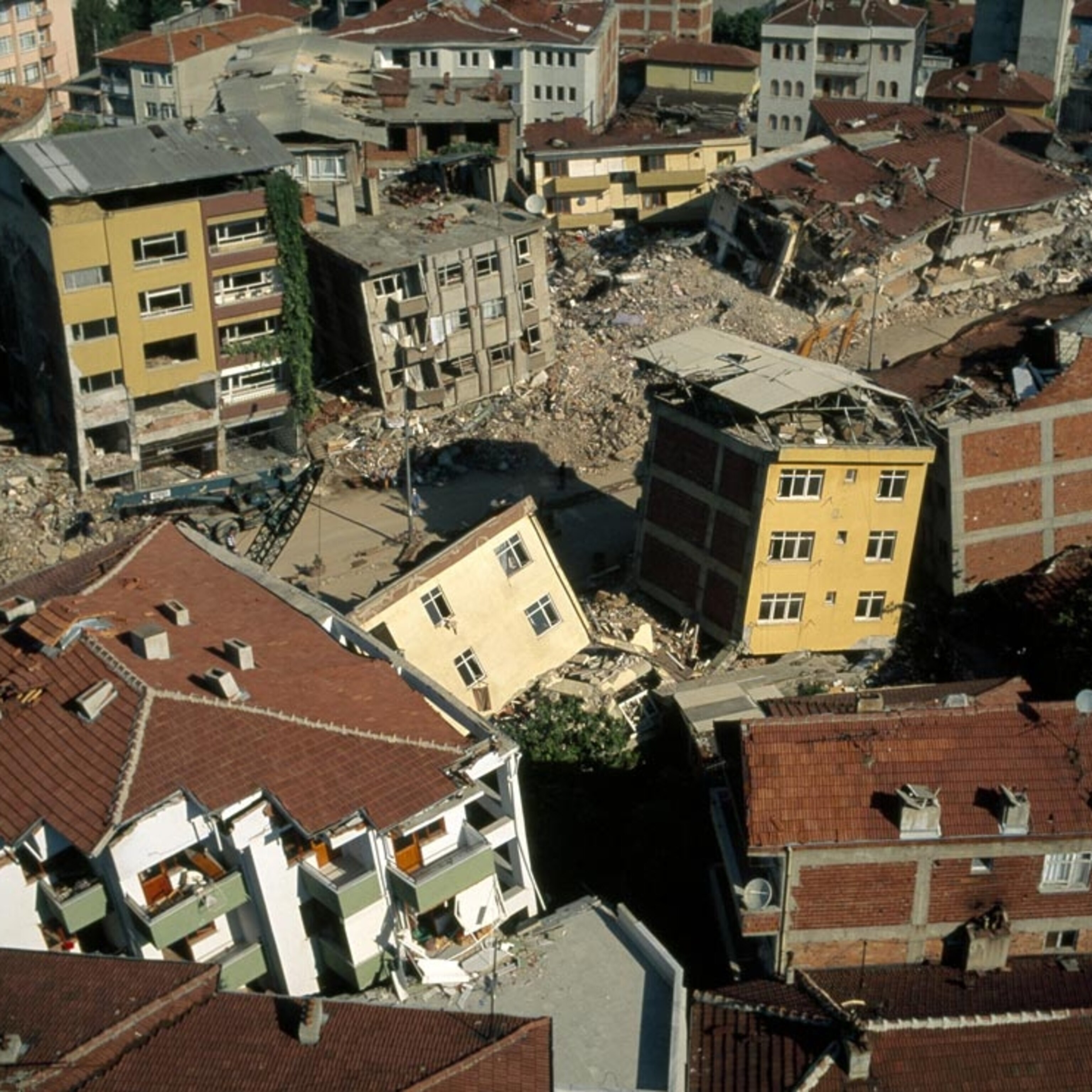 Seismic the San Andreas Tile Game - lktech.vn