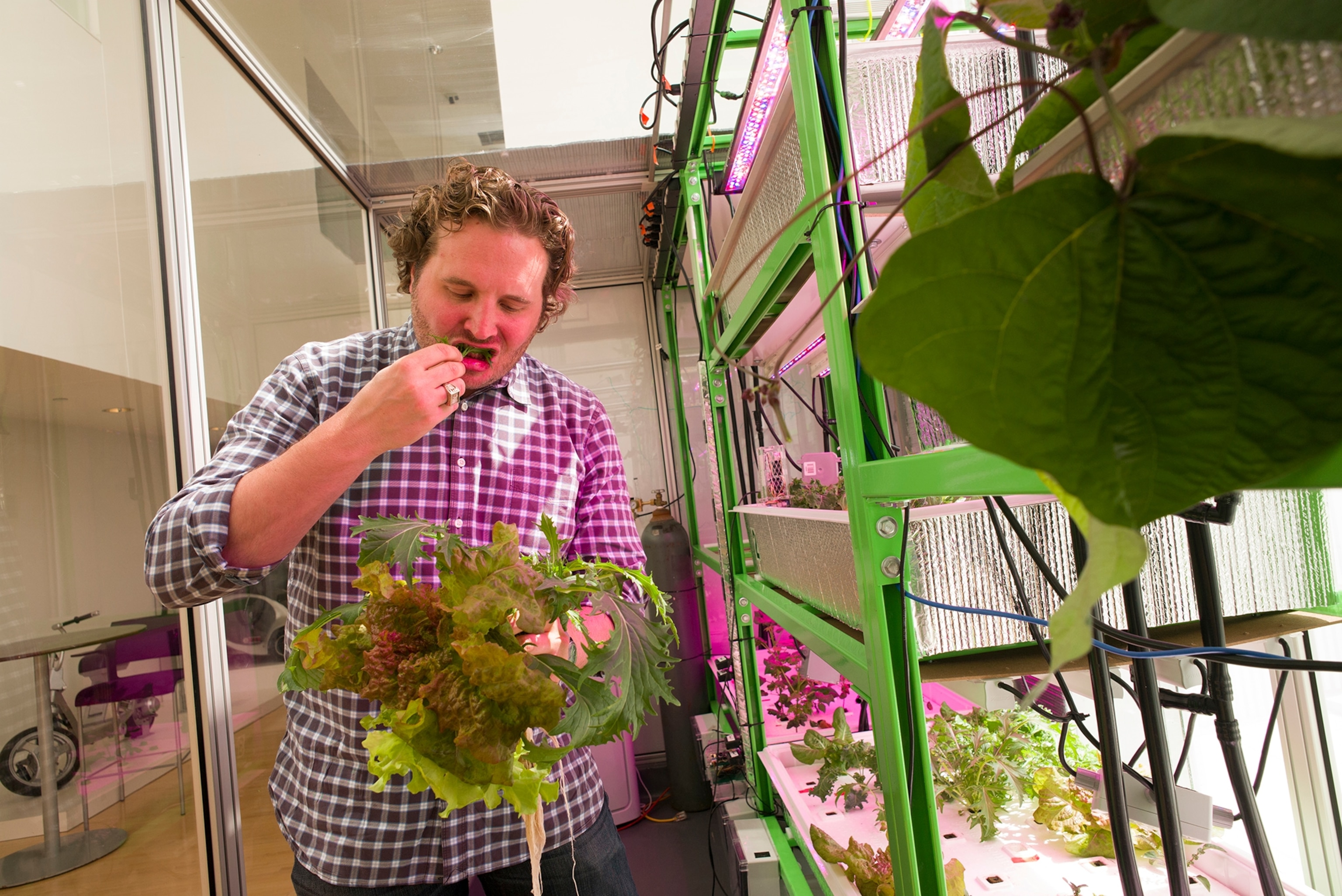 This Ag Innovator Wants to Find Your Broccoli by IP Address | National ...
