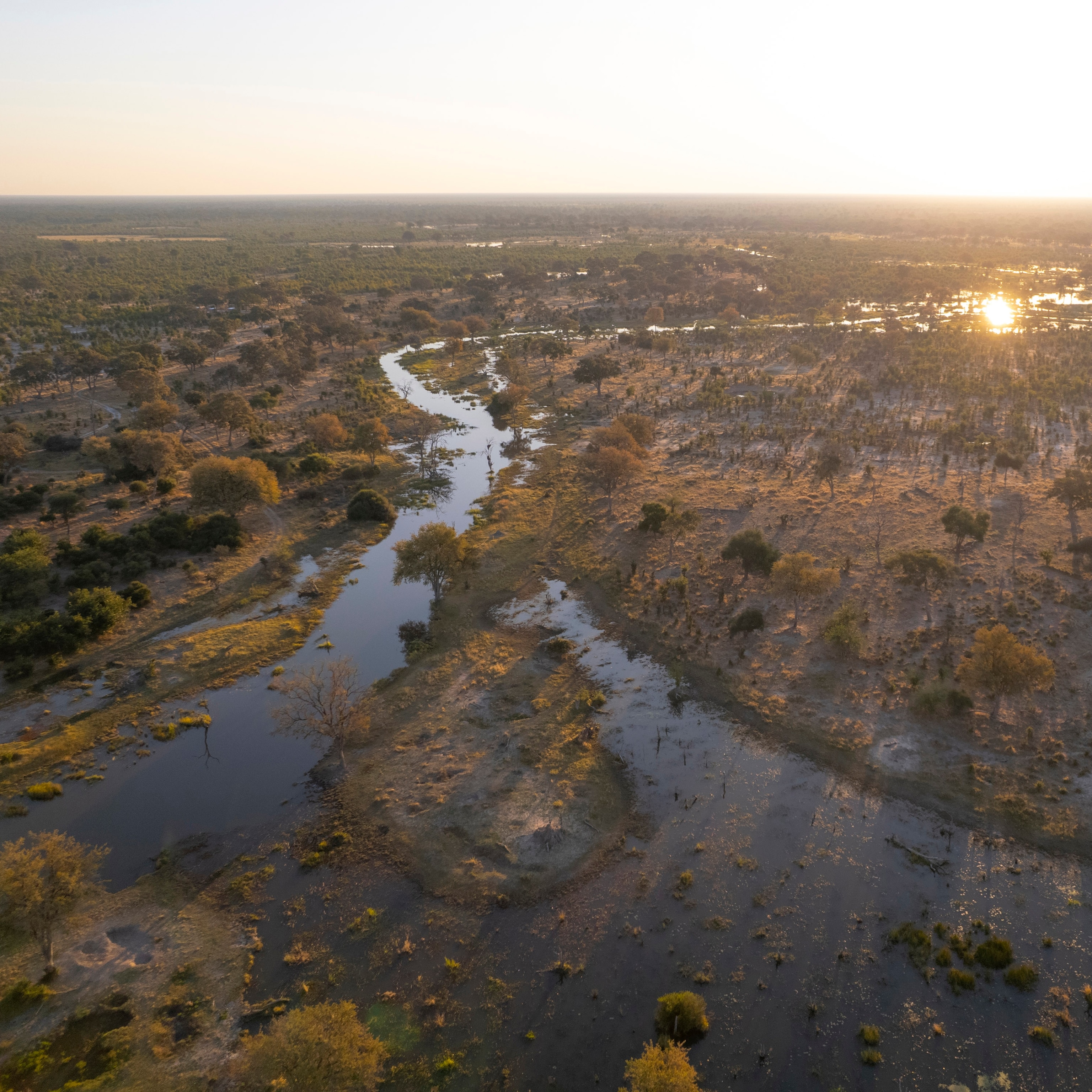 Okavango River