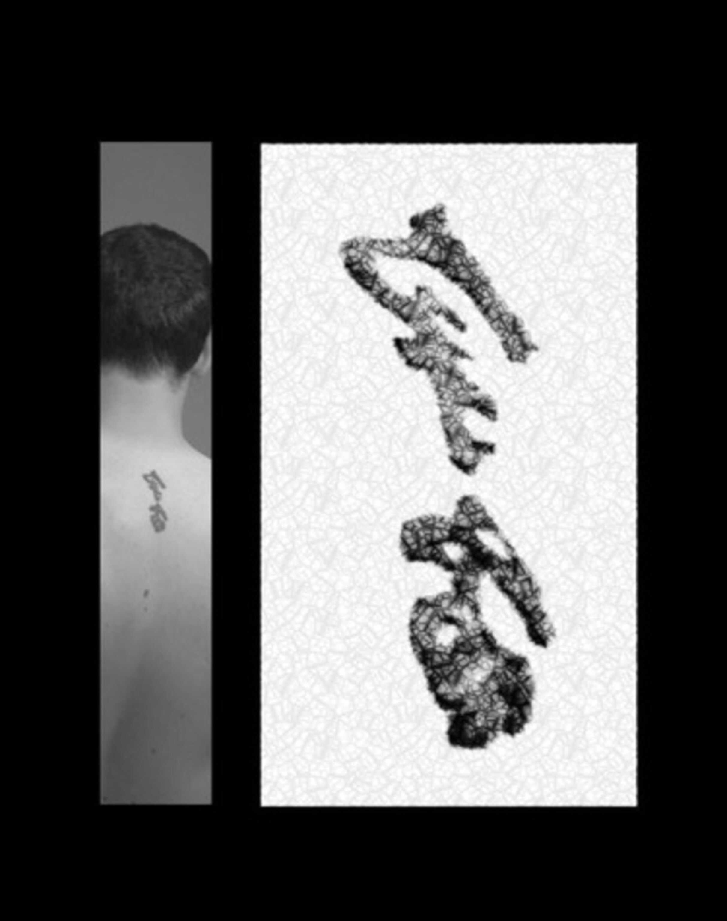 Chinese Cosmos | National Geographic