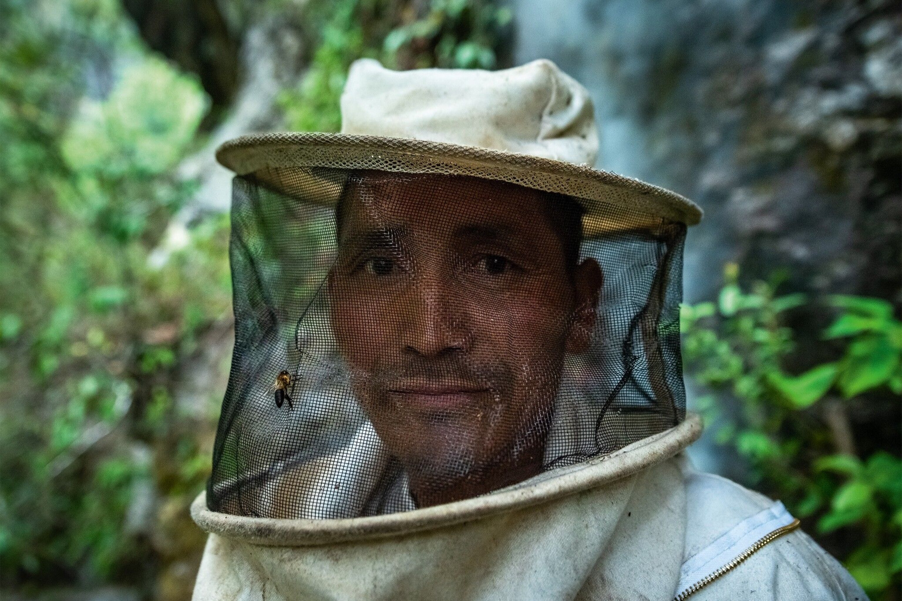 Photo story: the Nepalese honey hunters facing some of the largest bees ...