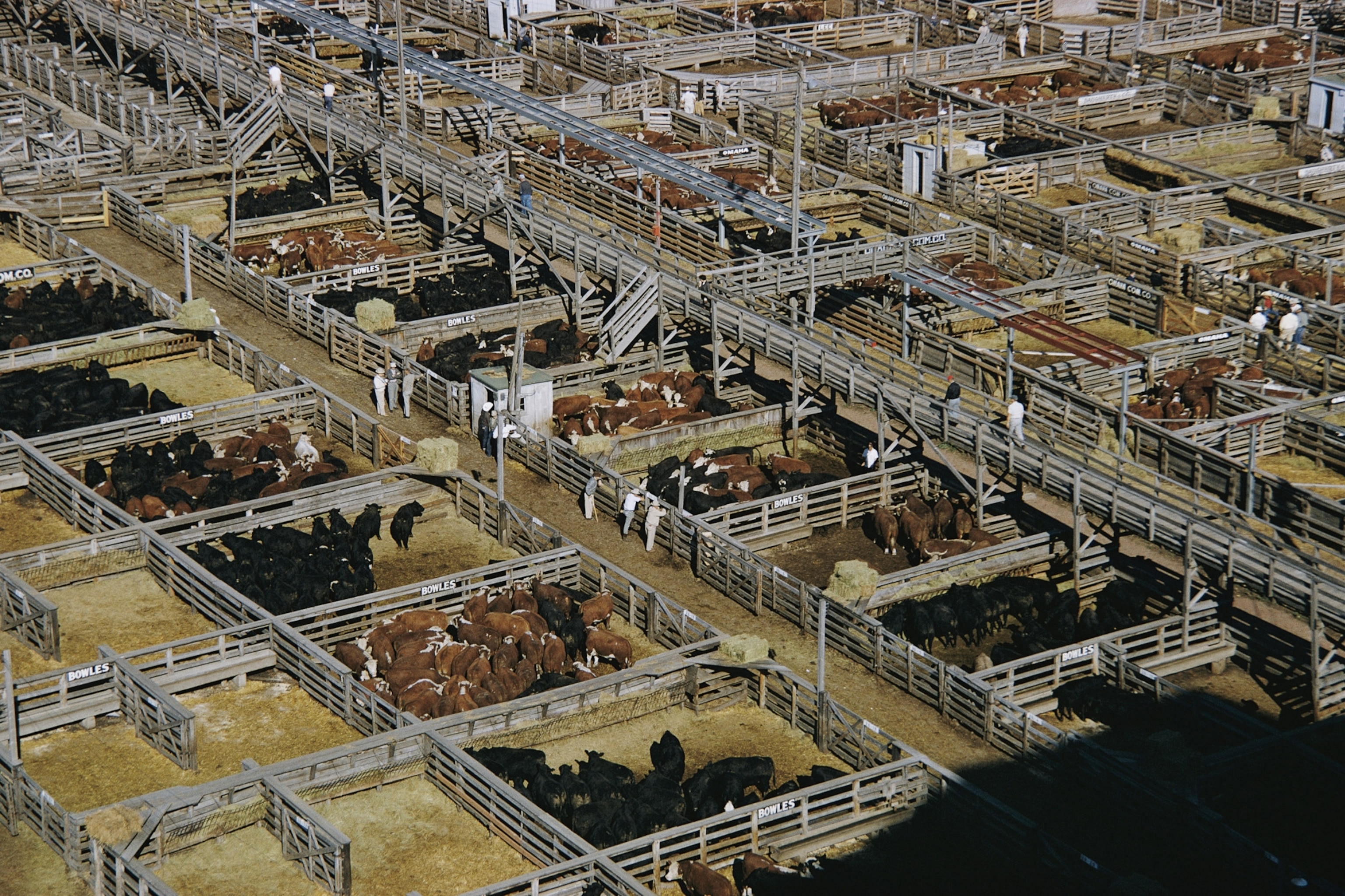 Growth Promoters for Farm Animals: What If They Just Don’t Work?