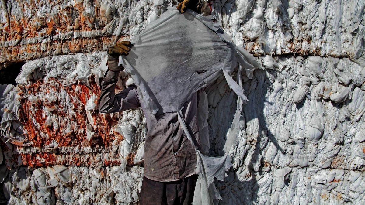 Quirky Portraits of One Town's Trash—And the People Who Take Care of It ...