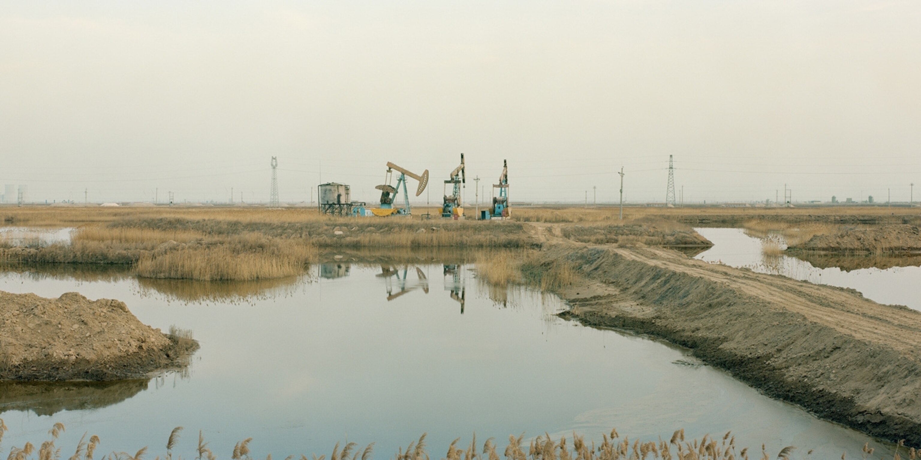 What’s Killing the Yellow River?