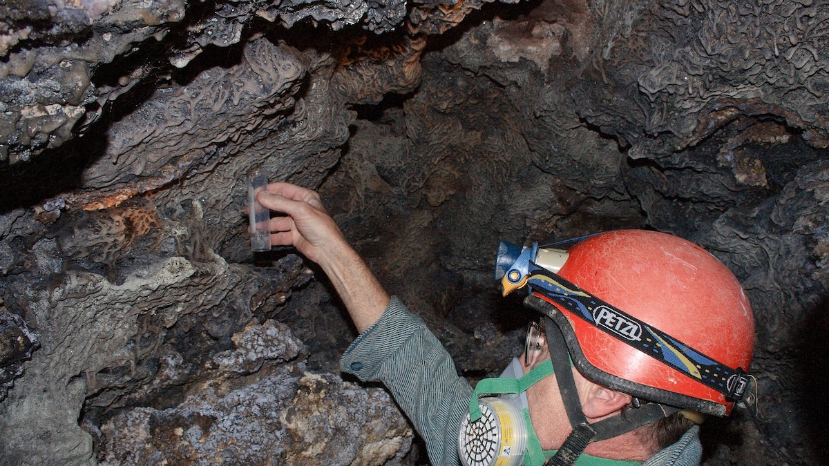 See the Ugly Beauty That Lives in a Toxic Cave | National Geographic
