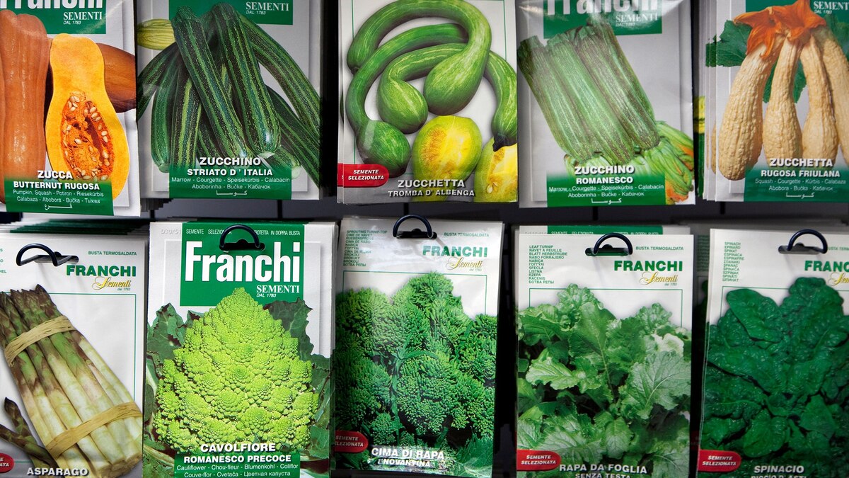 Selling Spring Dreams: The Evolution of Seed Catalogs | National Geographic