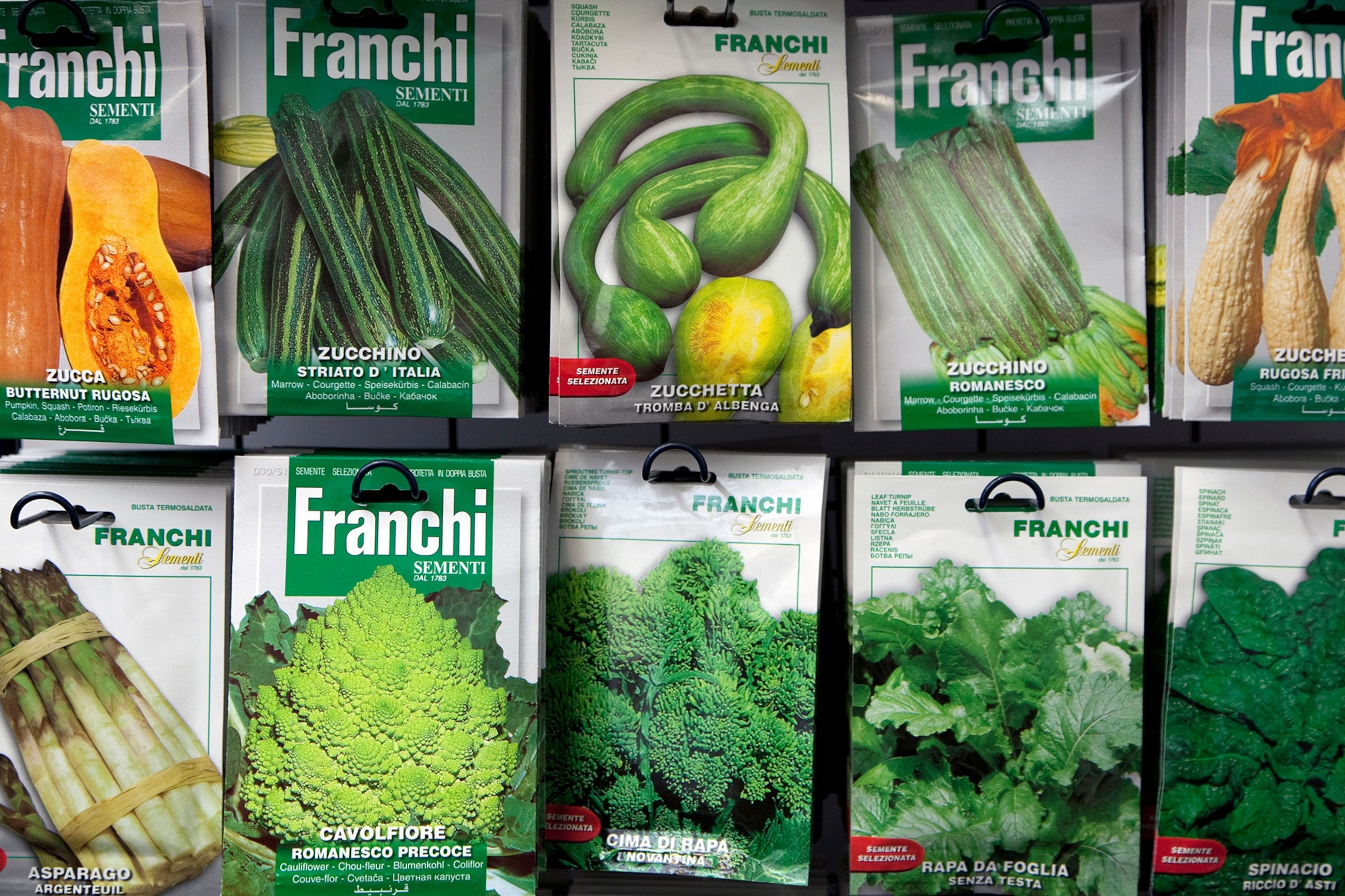 Selling Spring Dreams: The Evolution of Seed Catalogs