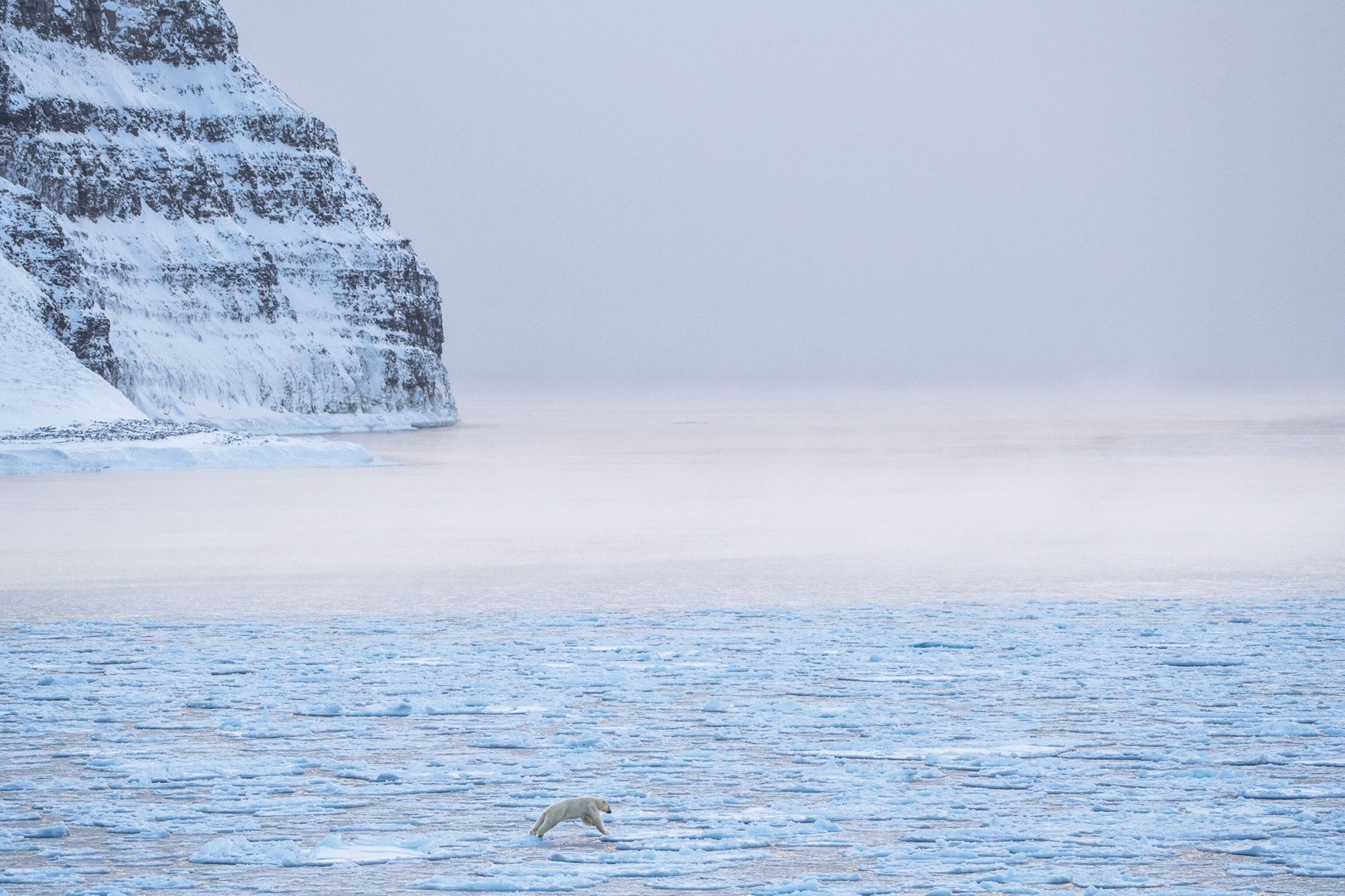 See what a year looks like in Svalbard, Norway, the fastest-warming ...