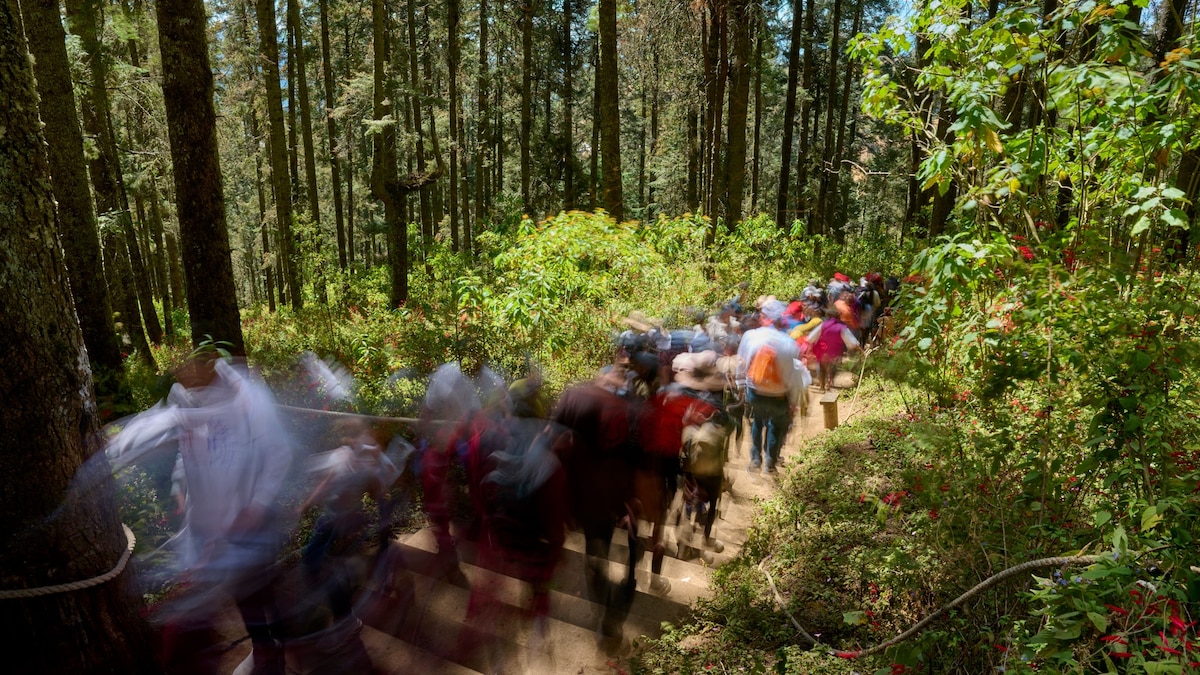 Walking is the sixth vital sign. Here’s how to do it right. | National ...