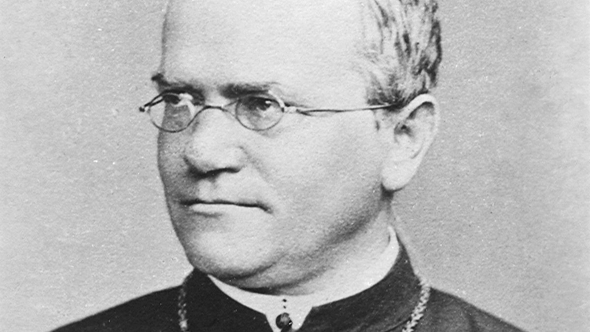 How Gregor Mendel’s pea plant experiments created modern genetics ...