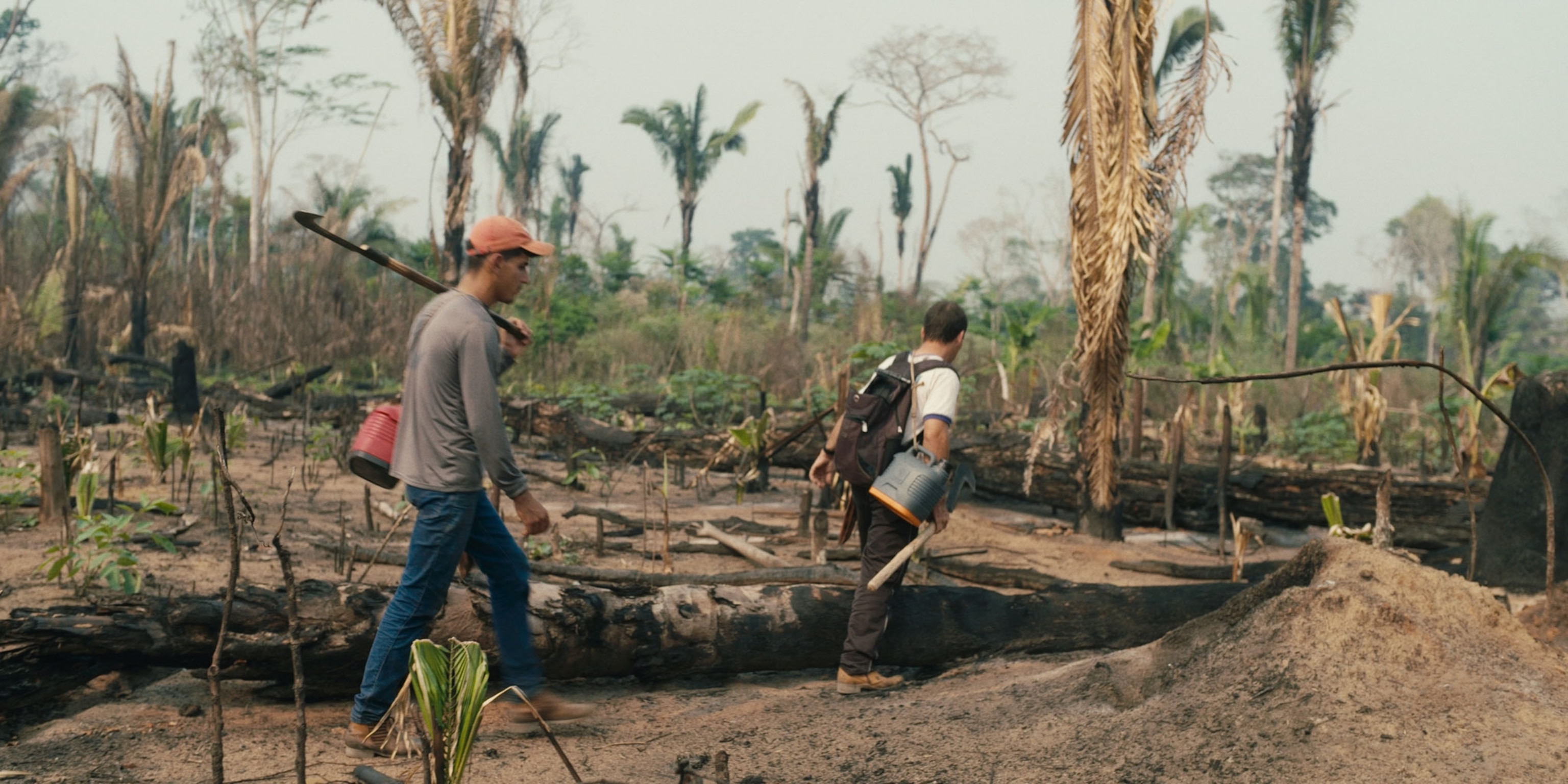 In a besieged Amazon, people take up cameras to save their land