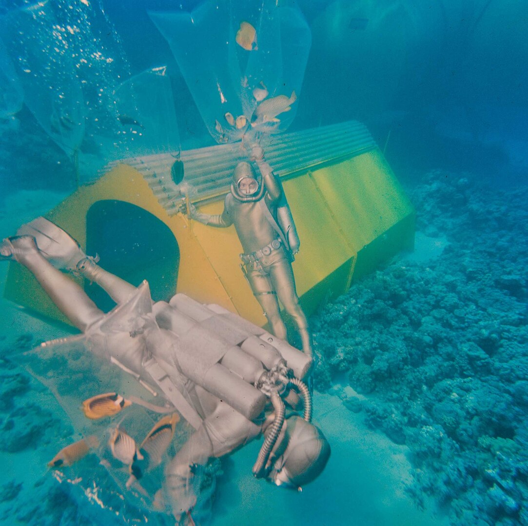 Man Underwater In Ocean