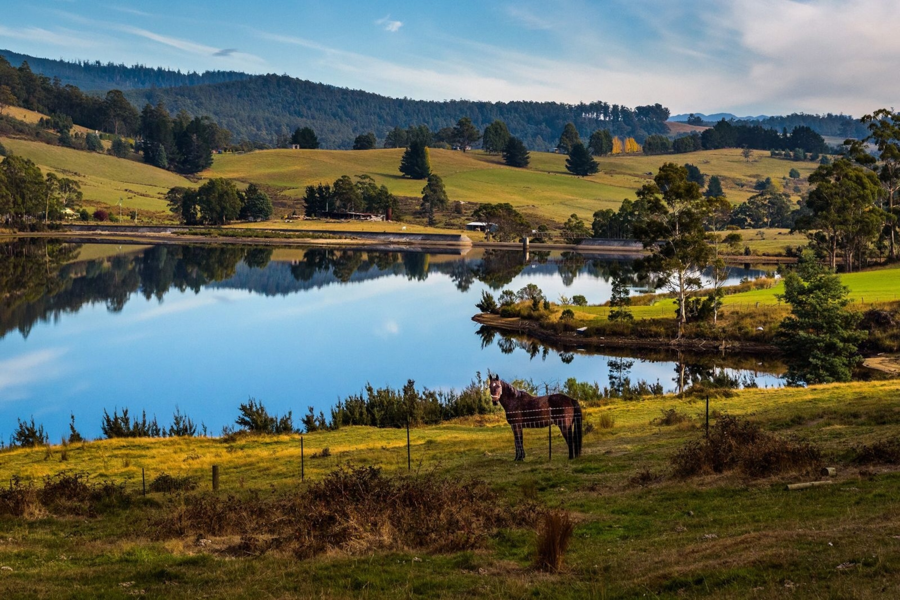 A culinary guide to Tasmania's Huon Valley, from apple pie to agritourism