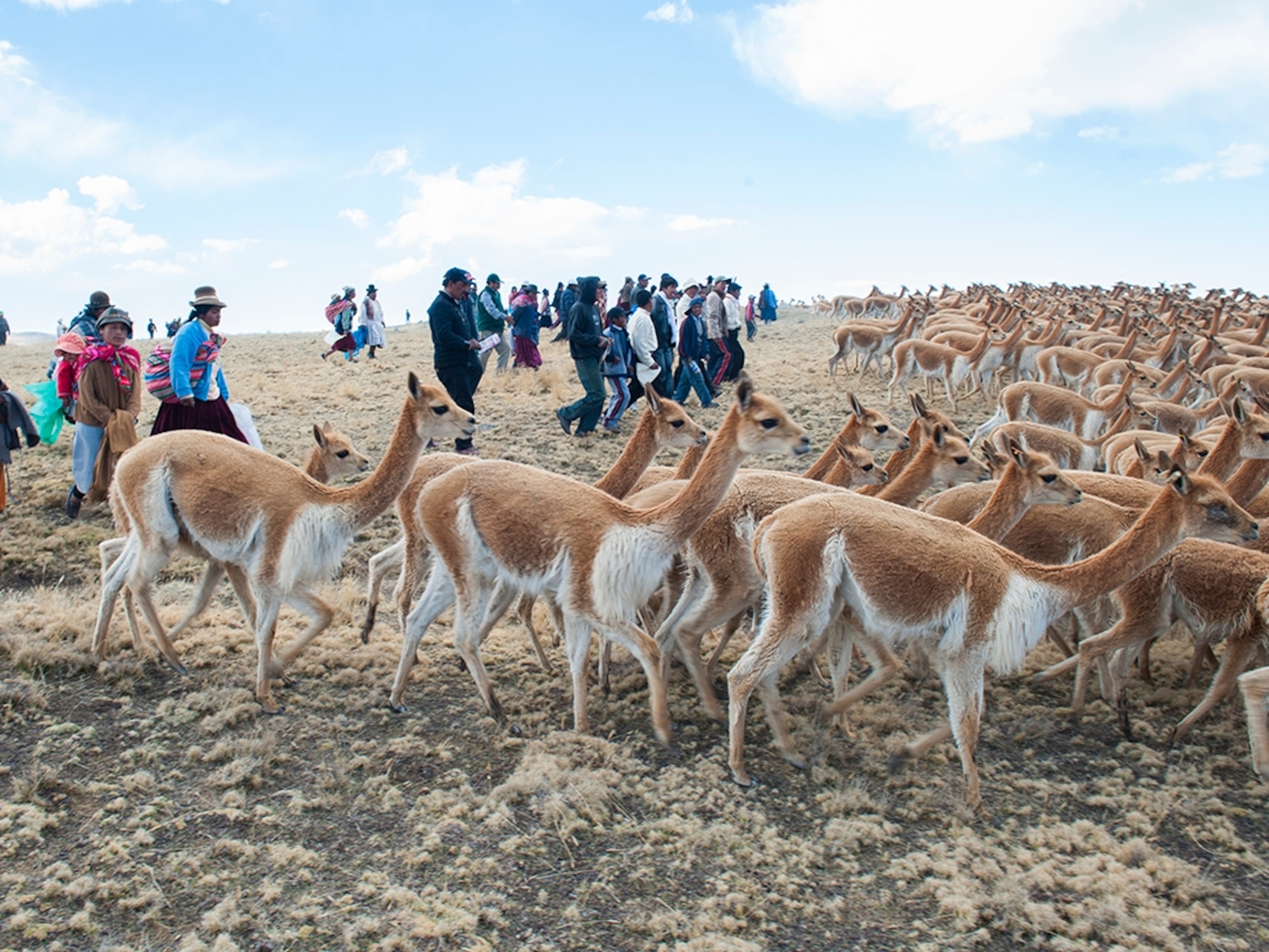 The Golden Yarn -- National Geographic Traveler